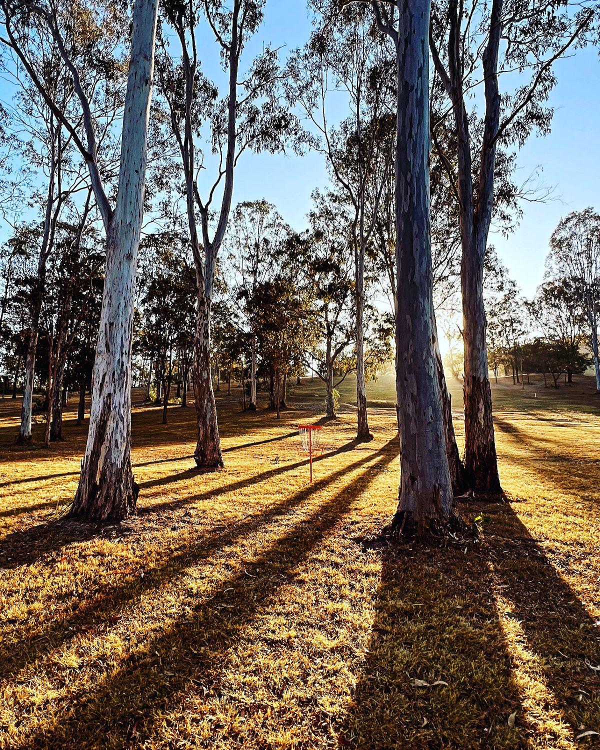 Logan Village Disc Golf - Logan Village, Australia | UDisc Disc Golf ...