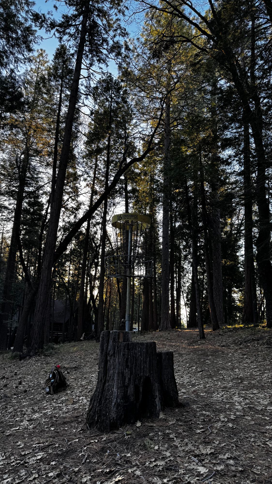 The Ridge at Gold Ridge - Pollock Pines, California | UDisc Disc Golf ...