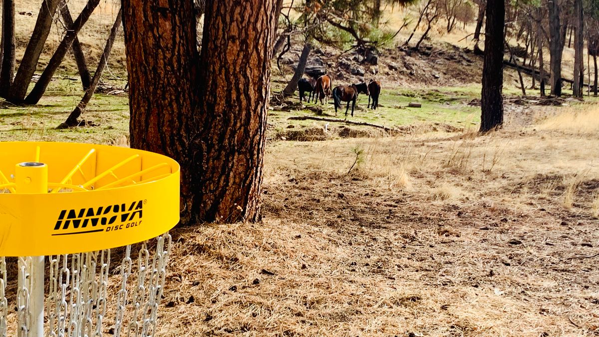 Alto Lake - Ruidoso, New Mexico | UDisc Disc Golf Course Directory