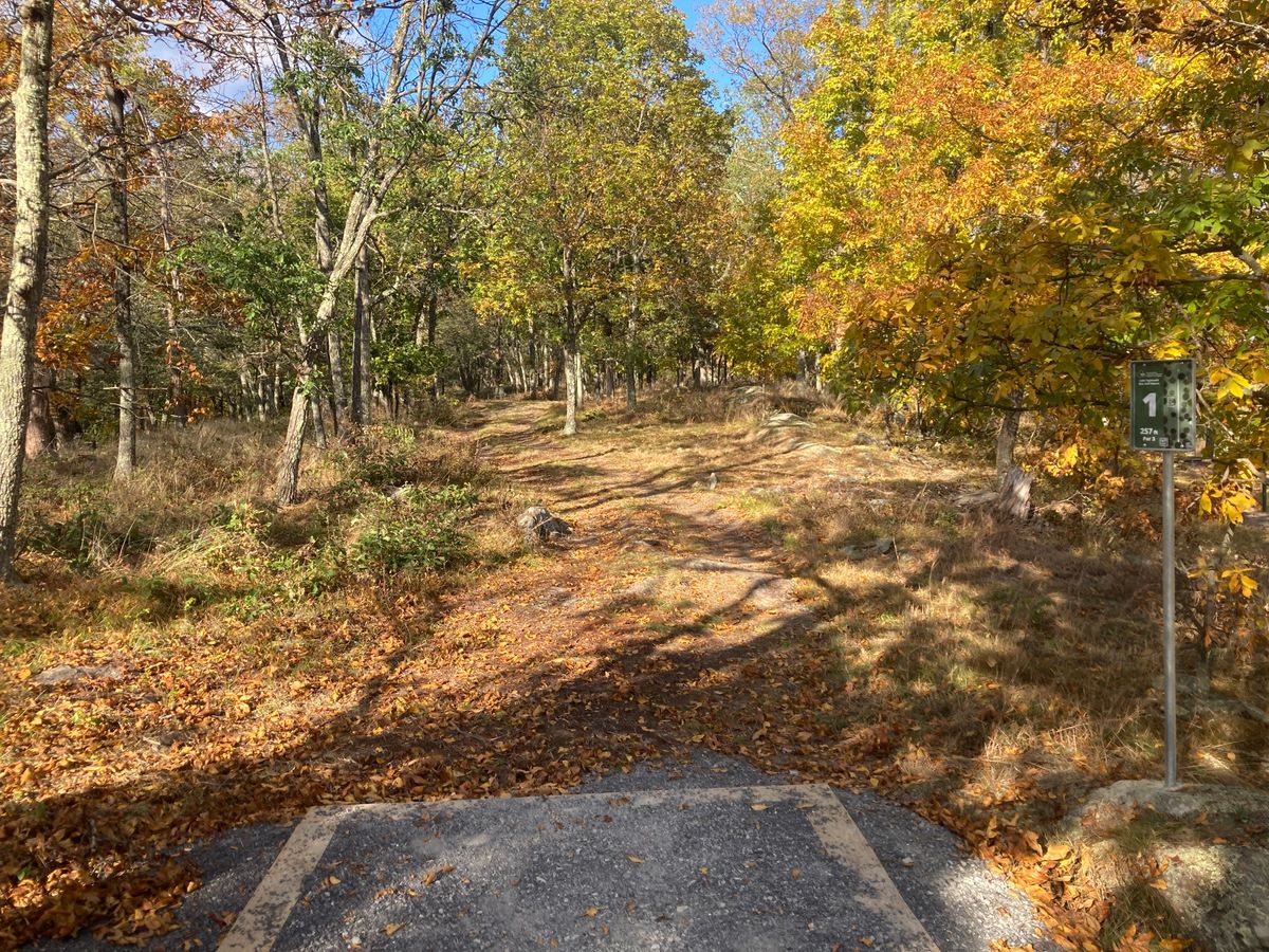 Lake Taghkanic State Park Disc Golf - Livingston, New York | UDisc Disc ...