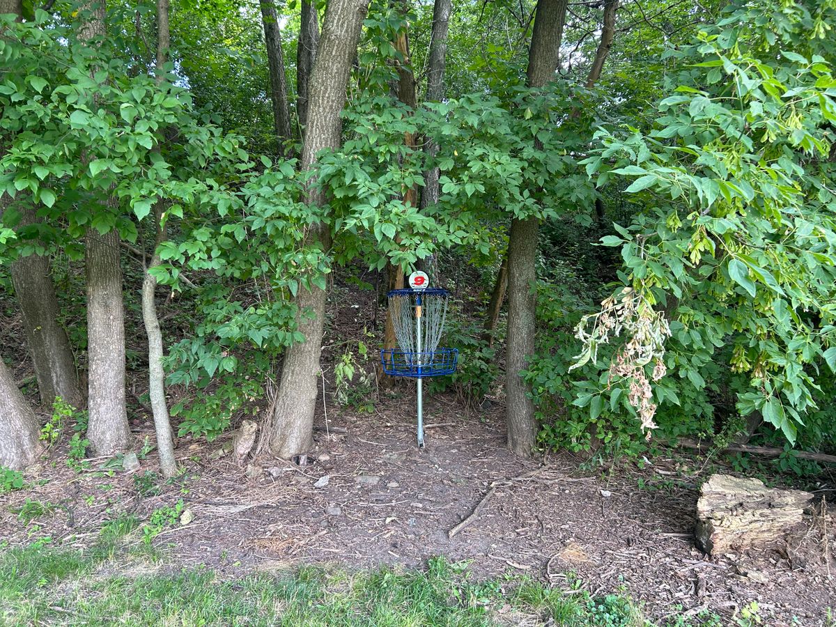 Herb Vik Field - Mazeppa, Minnesota | UDisc Disc Golf Course Directory