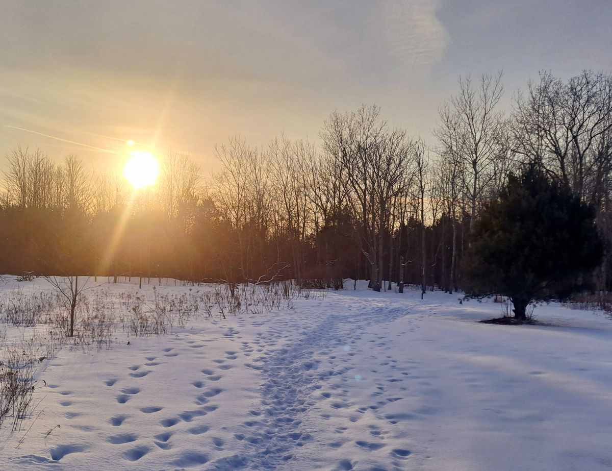 Lakeshore Disc Golf Complex - Spring Lake, Michigan | UDisc Disc Golf ...