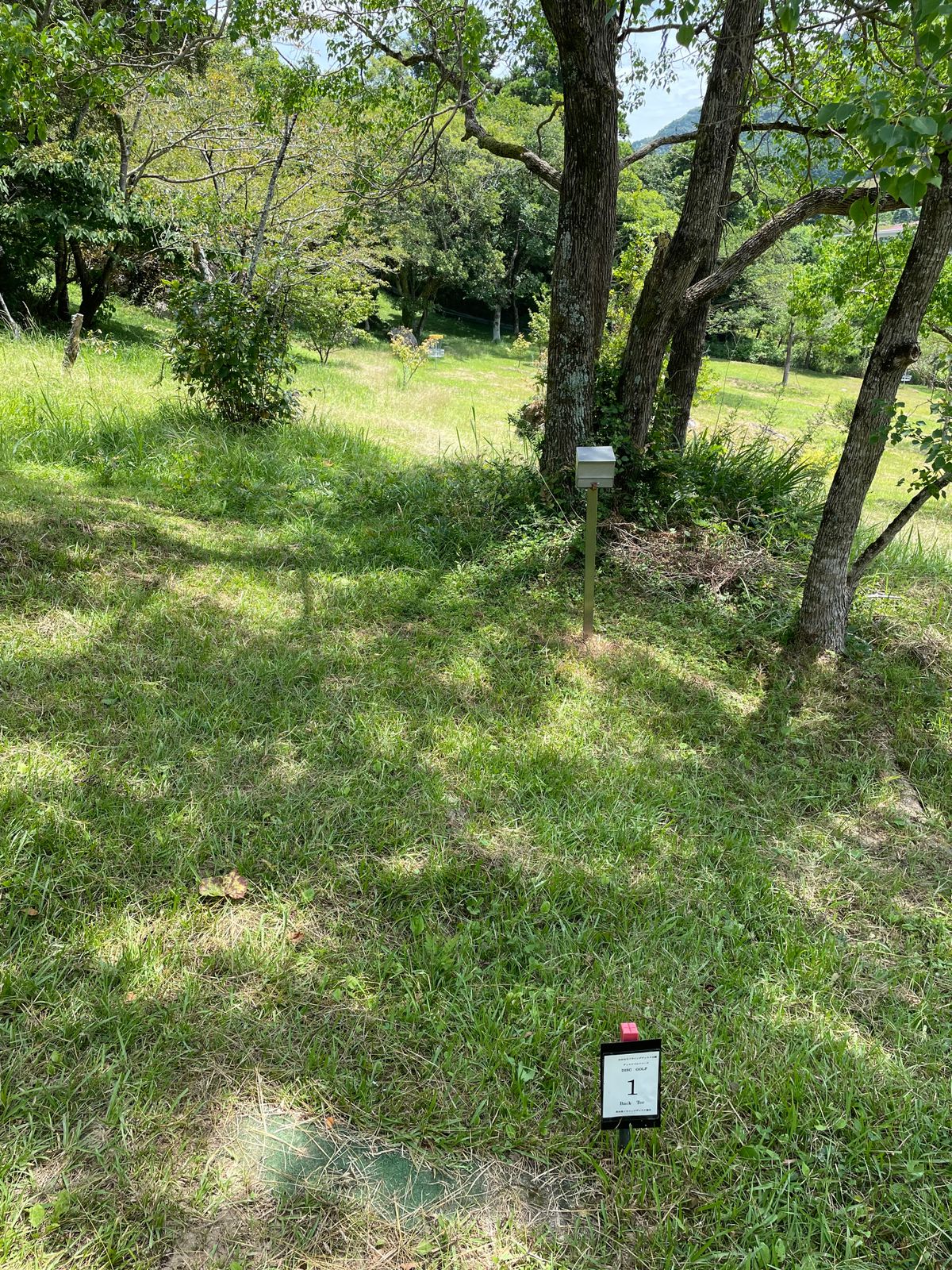 Kochi Disc Golf - Your Guide to Disc Golf in Kochi, Japan | UDisc
