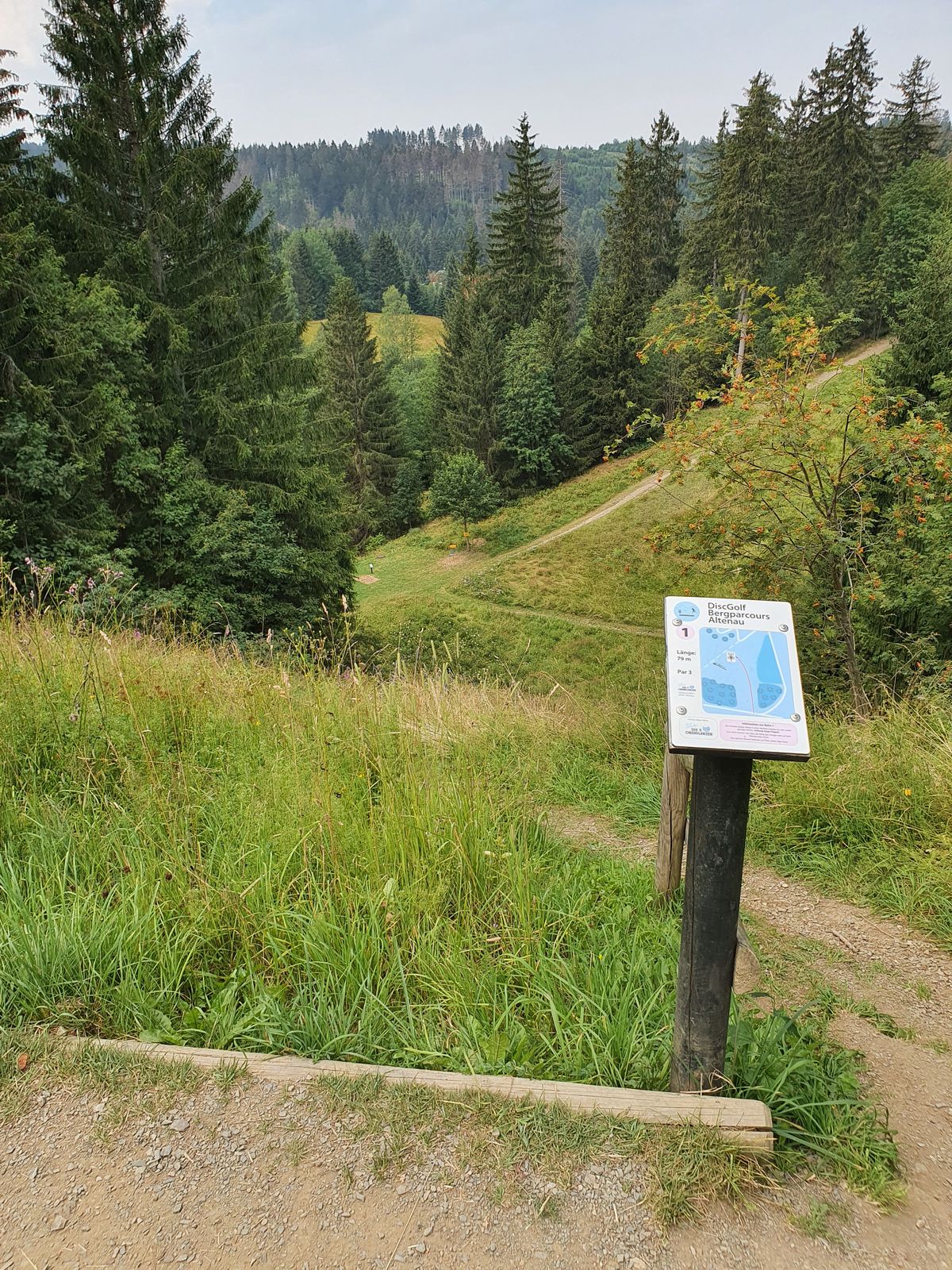 Clausthal-Zellerfeld Disc Golf - Your Guide to Disc Golf in Clausthal ...