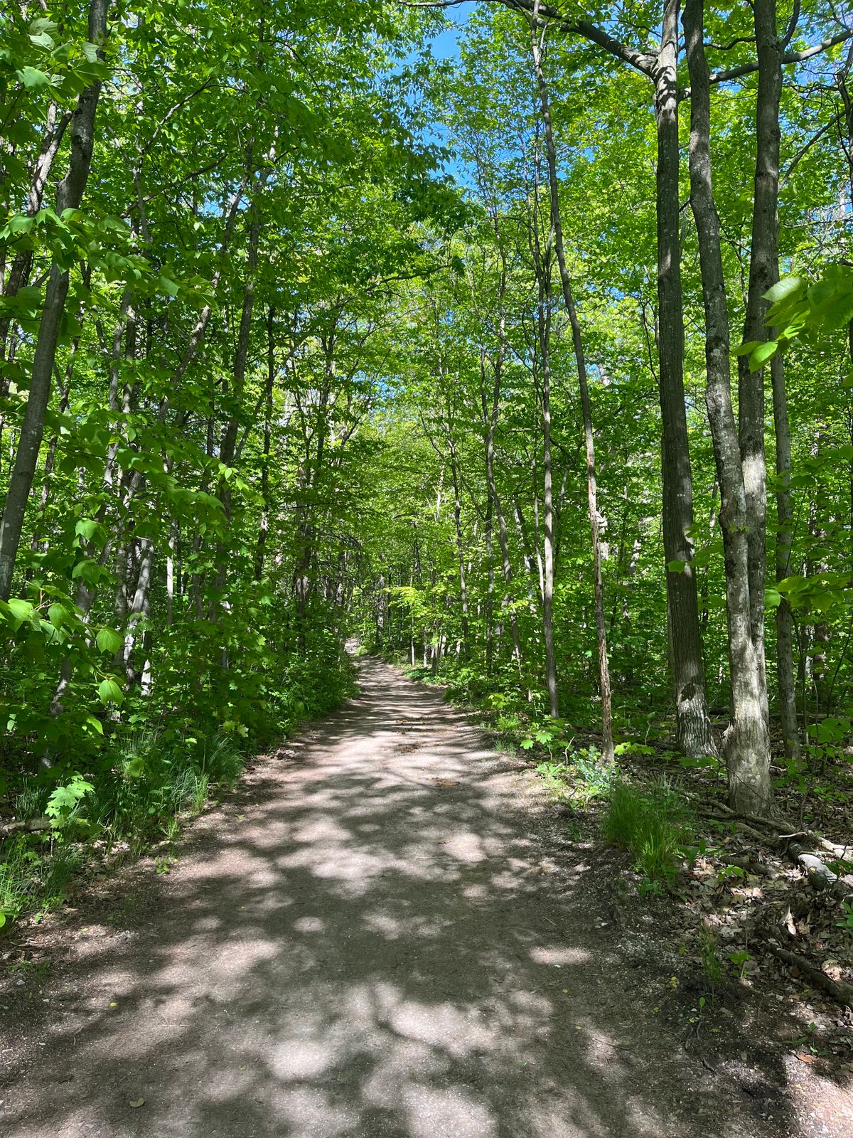 Great Turtle Disc Golf Course - Mackinac Island, Michigan | UDisc Disc ...