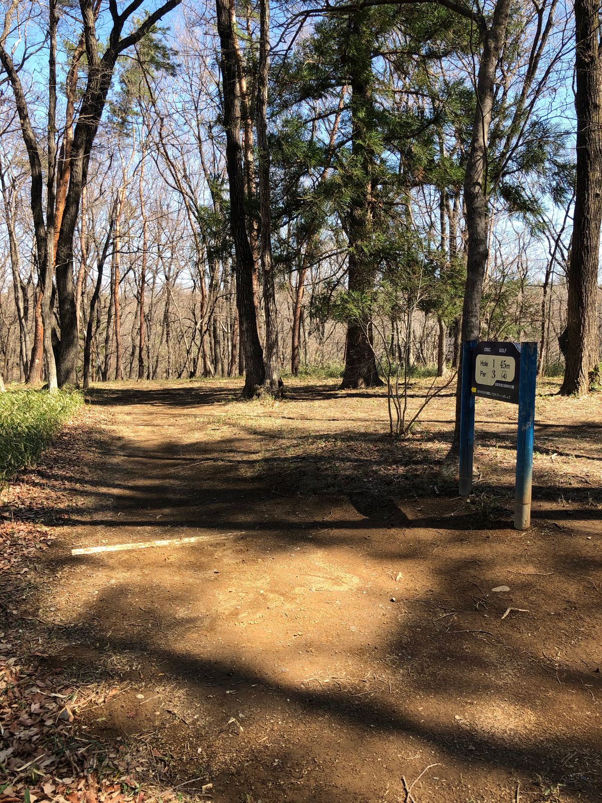 Musashi Kyuryou Shinrin Park - Namegawa, Japan | UDisc Disc Golf Course ...