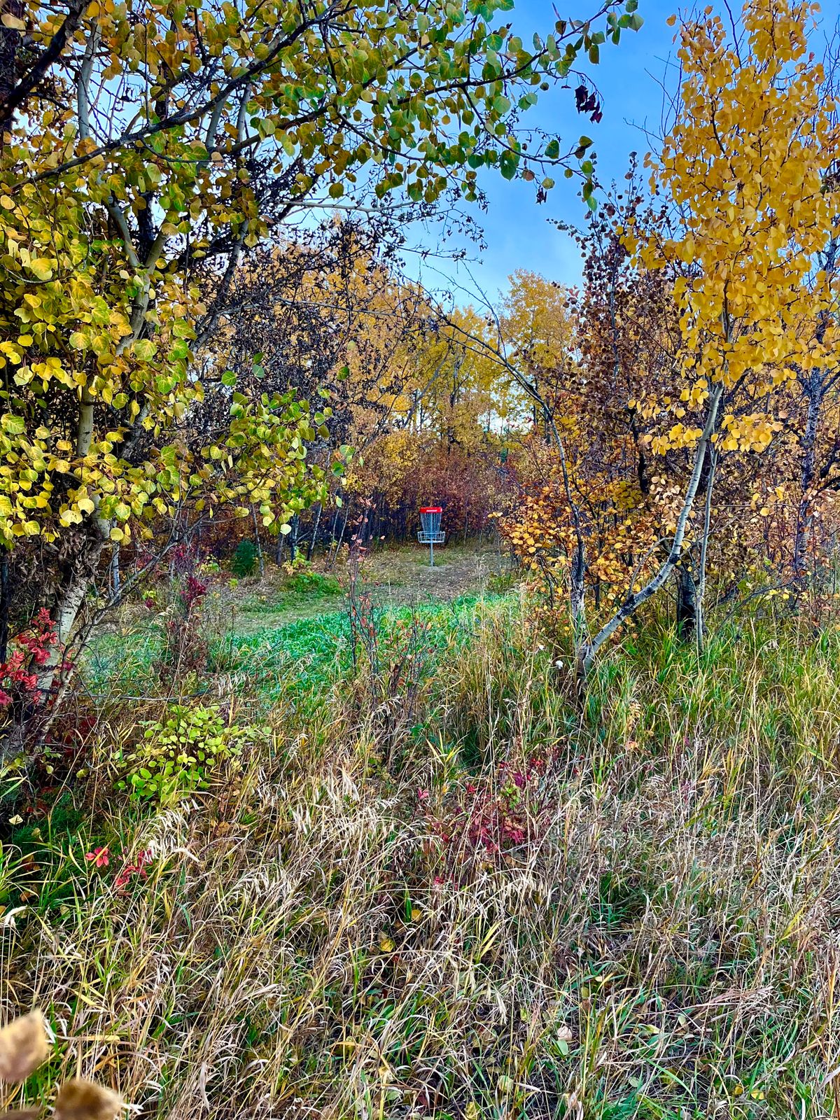 Rosedale Valley Disc Golf Course - Lacombe, AB, Canada | UDisc Disc ...