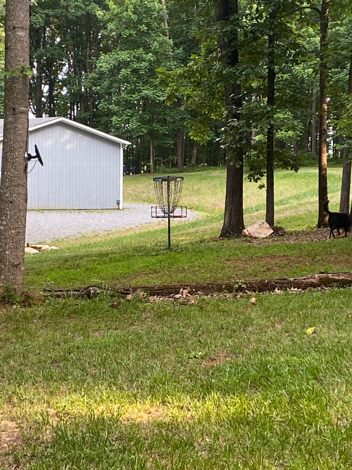 Mountainside DGC - Charlottesville, Virginia | UDisc Disc Golf Course ...