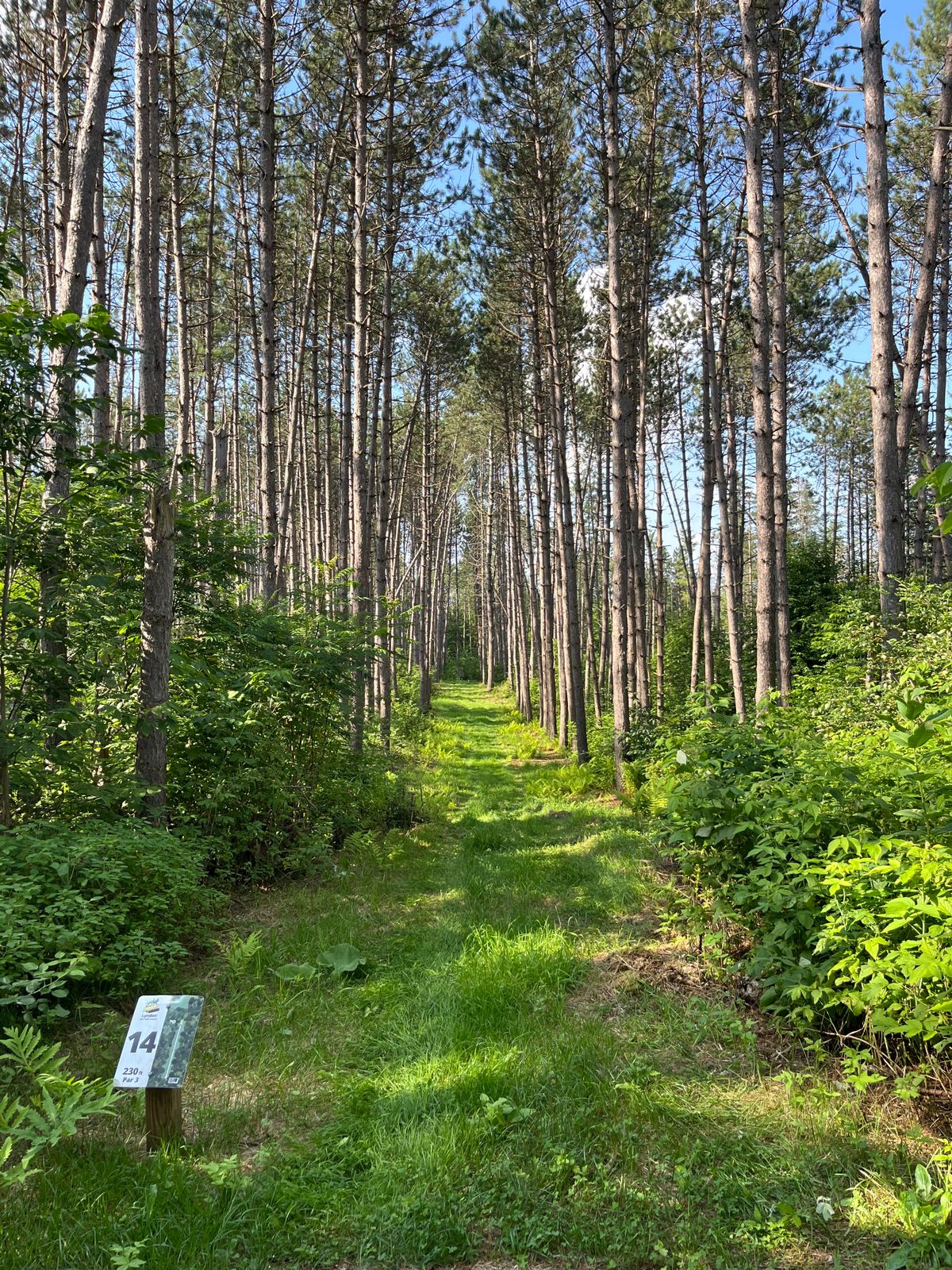 Lyndon Disc Golf - Your Guide to Disc Golf in Lyndon, Vermont | UDisc