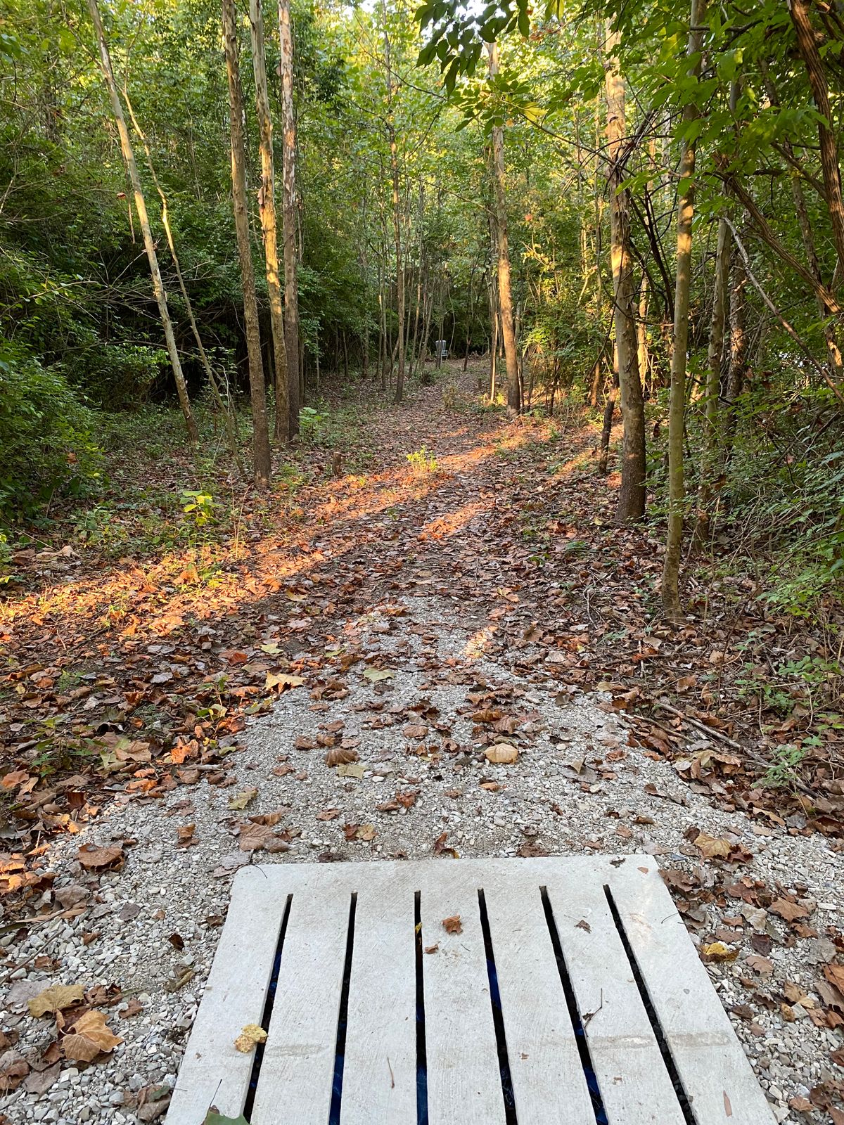 Washington Township Park DGC - Avon, IN | UDisc Disc Golf Course Directory