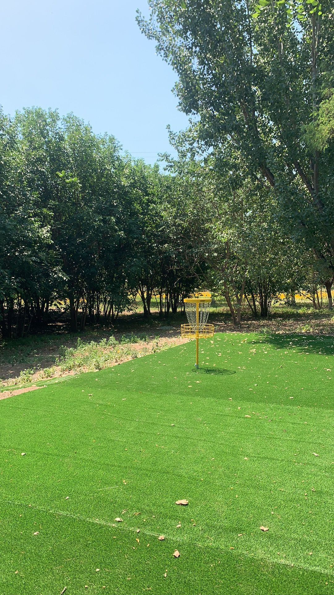 绿心森林飞盘高尔夫公园 Green Forest Disc Golf Park - China | UDisc Disc Golf ...