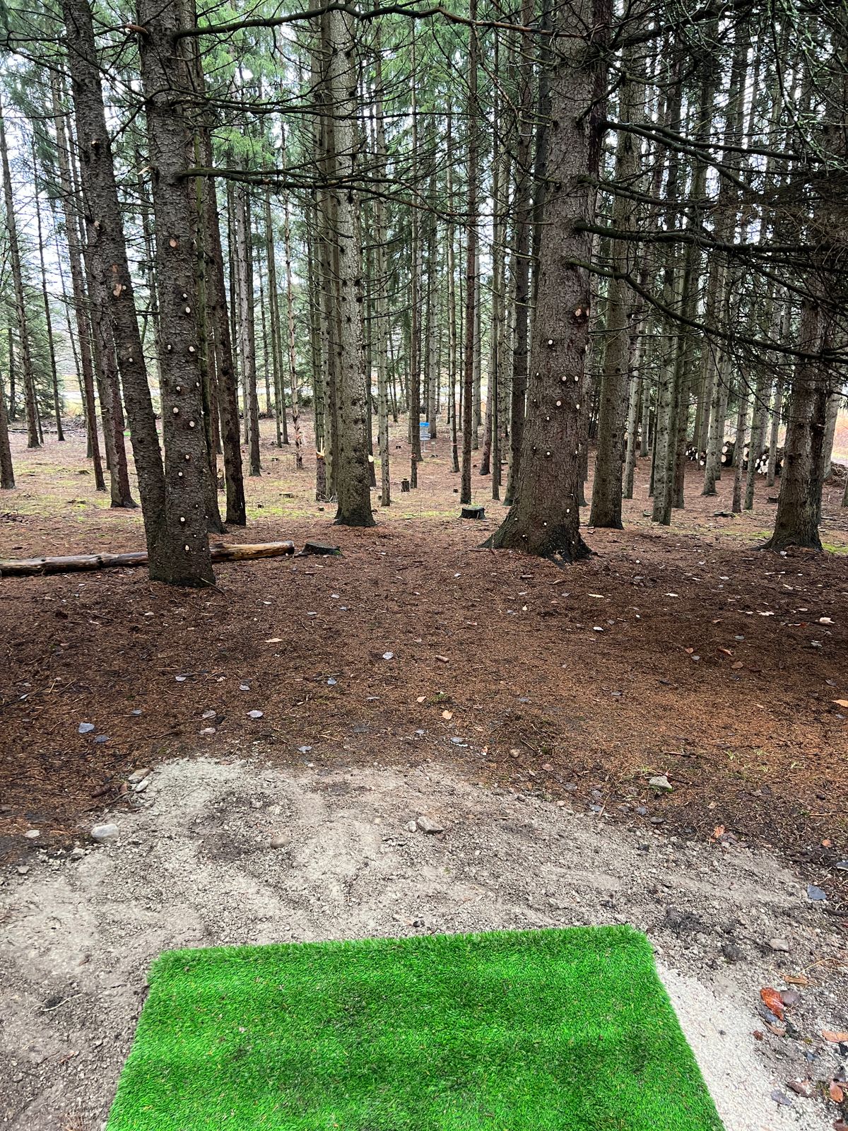 Albion Birdie Course - Caledon, ON, Canada | UDisc Disc Golf Course ...