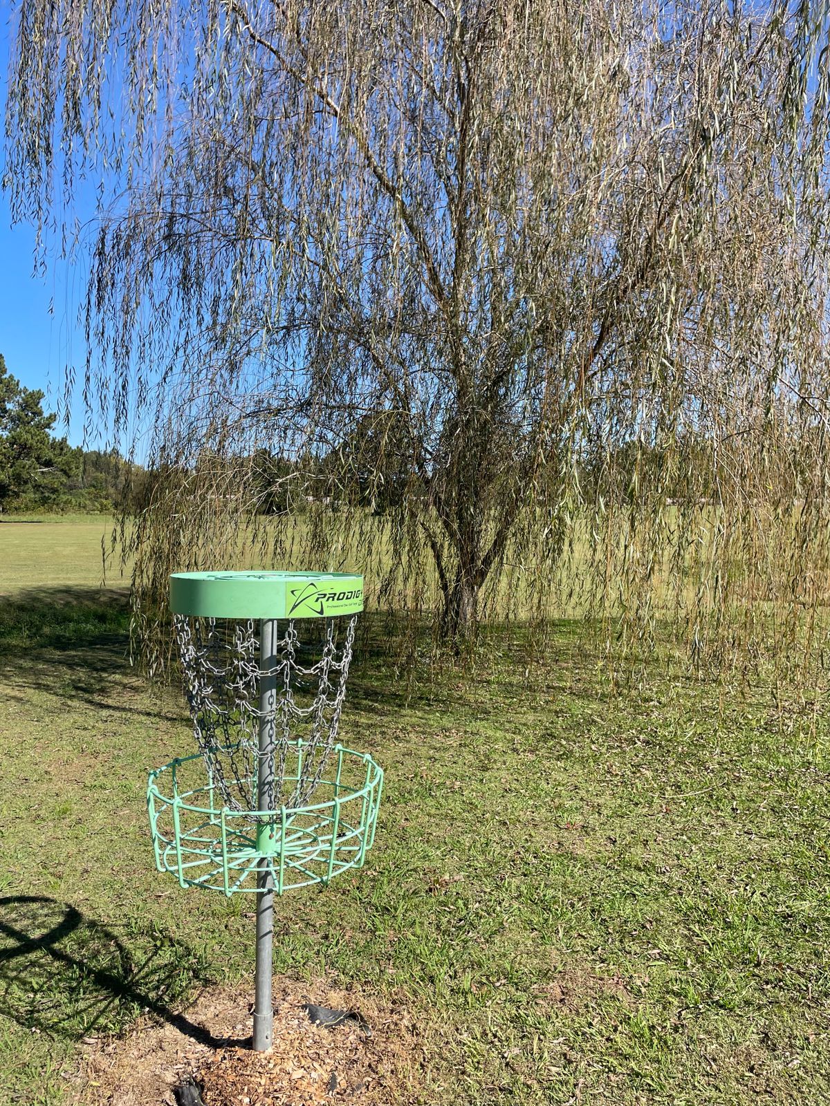 The Pasture DGC - Tunnel Hill, Georgia | UDisc Disc Golf Course Directory