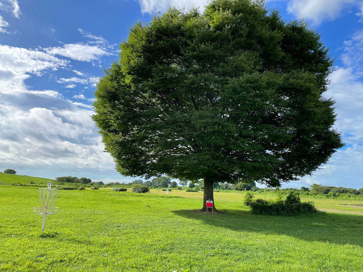 Honjō Disc Golf - Your Guide to Disc Golf in Honjō, Japan | UDisc