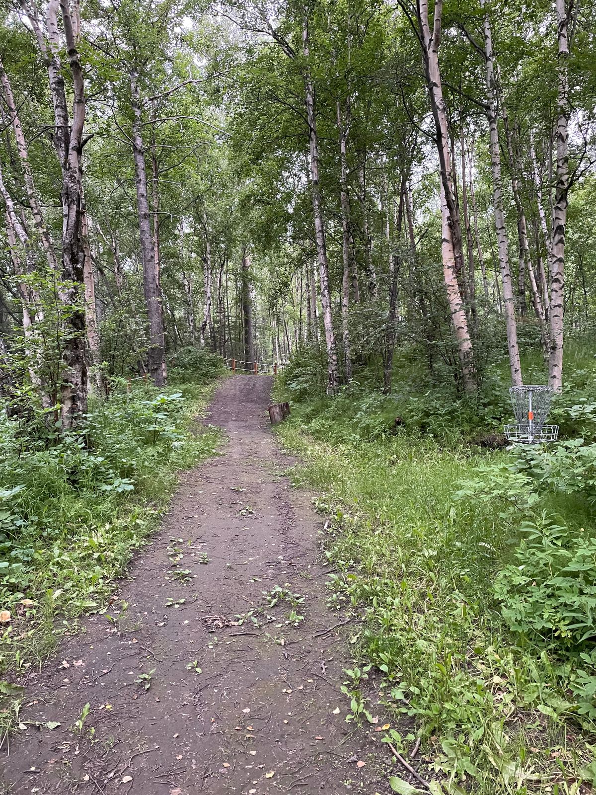 Palmer Disc Golf - Your Guide to Disc Golf in Palmer, Alaska | UDisc