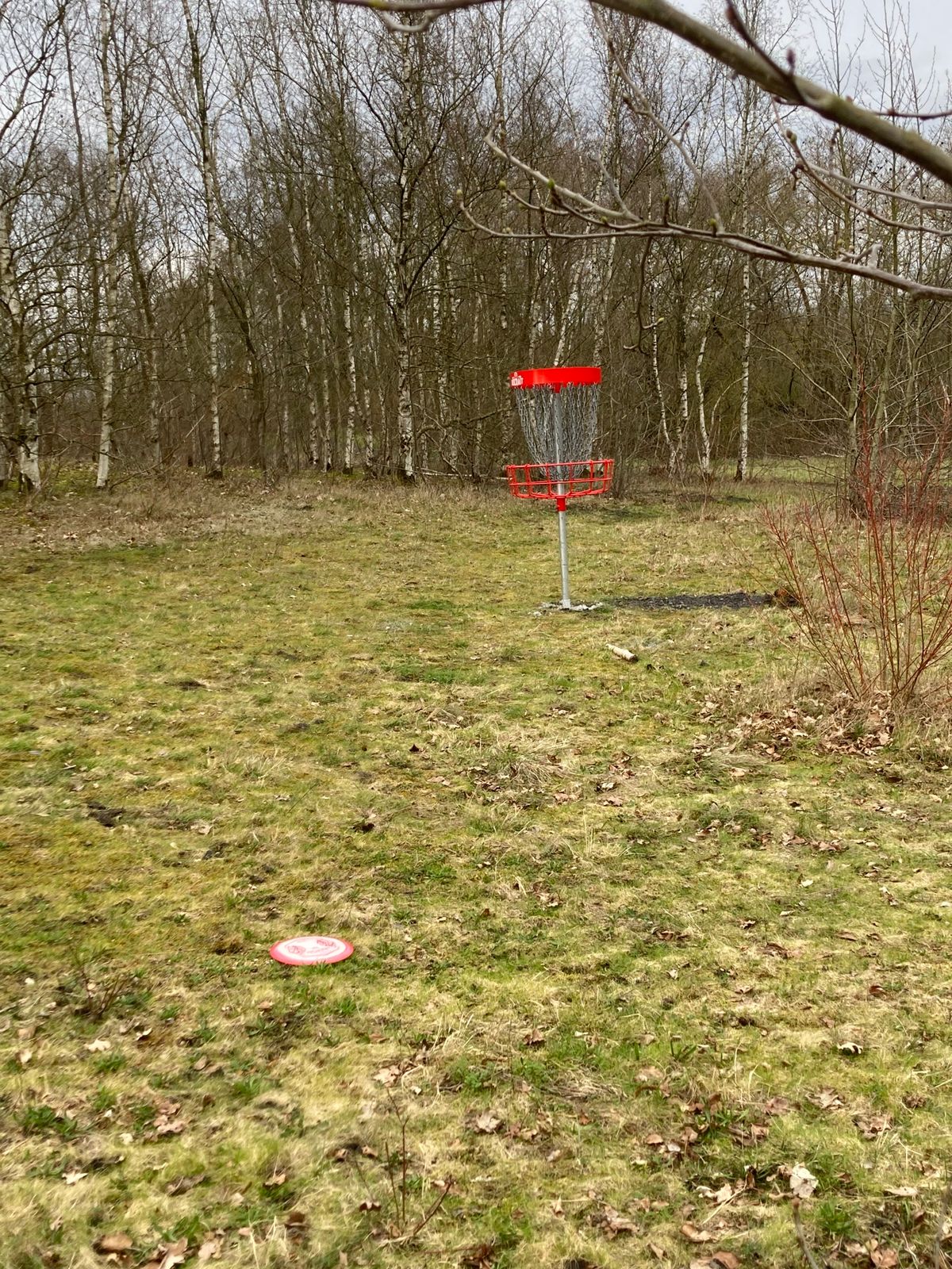 Roubaix Disc Golf - Your Guide to Disc Golf in Roubaix, France | UDisc