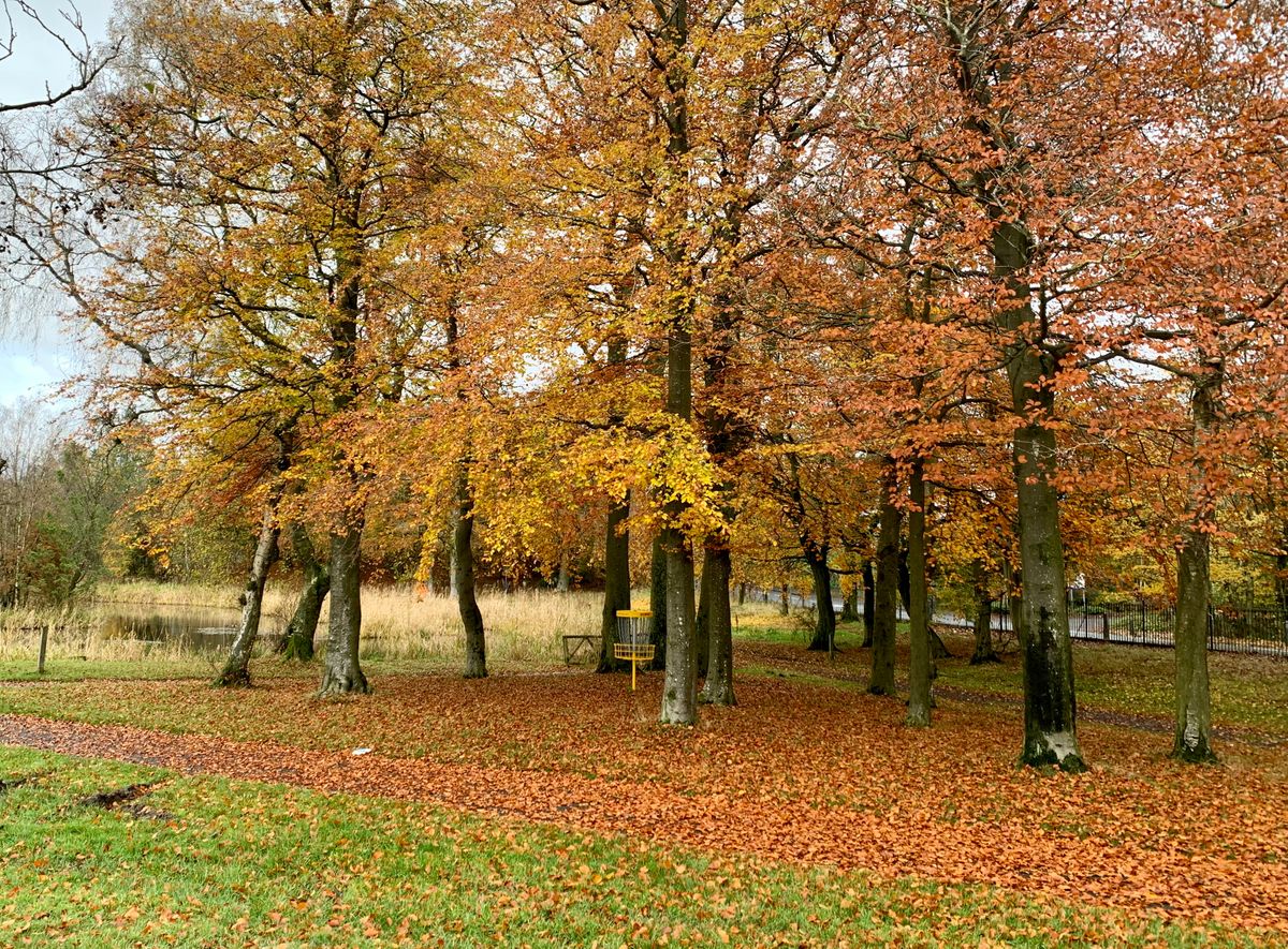Bishopbriggs Disc Golf - Your Guide to Disc Golf in Bishopbriggs ...