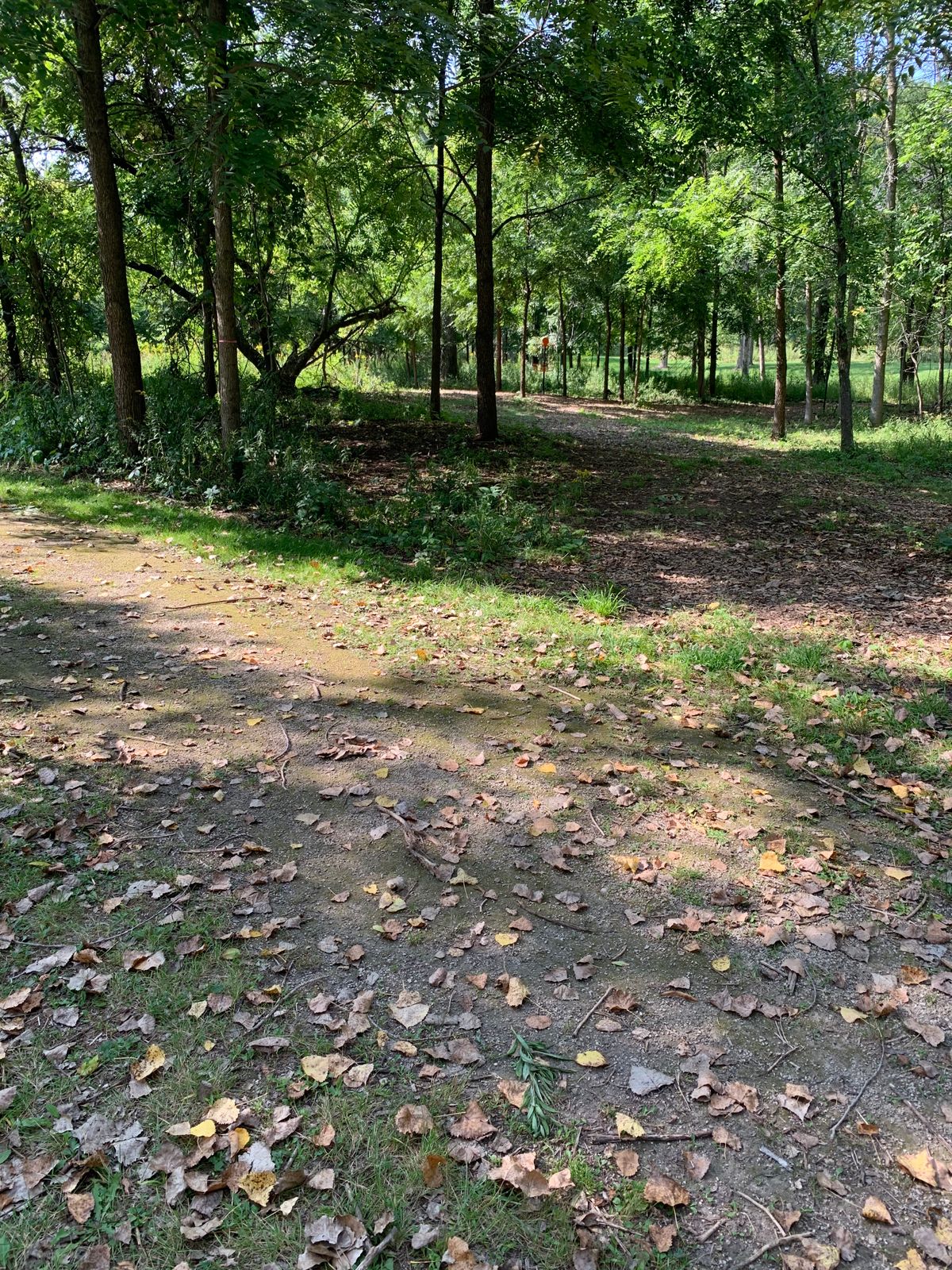 Triangle Sports Area | “Bairds” - Green Bay, Wisconsin | UDisc Disc ...