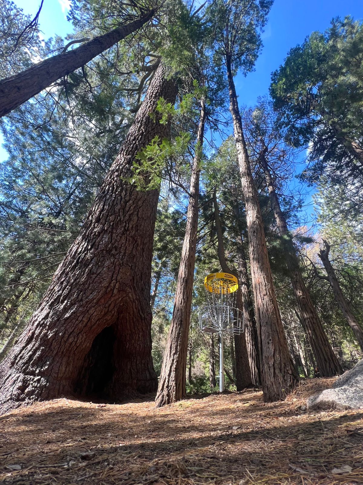 Thousand Pines Lower Course - Crestline, CA | UDisc Disc Golf Course ...