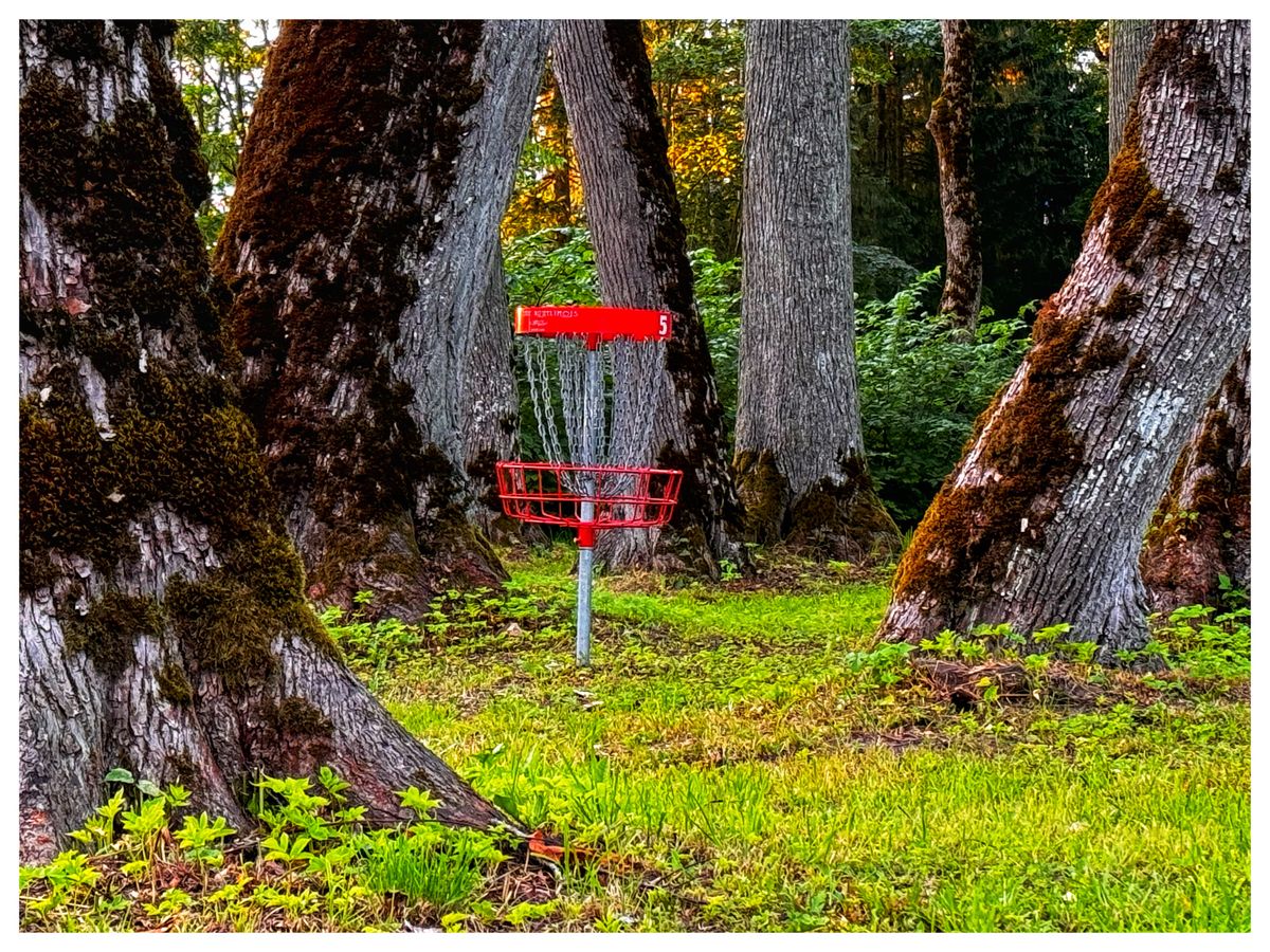 Ingliste Lennu rada - Ingliste, Estonia | UDisc Disc Golf Course Directory
