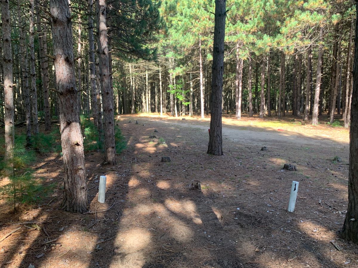 Ausable Chasm - Keeseville, New York | UDisc Disc Golf Course Directory