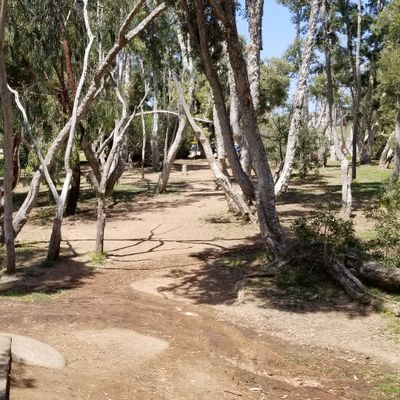 Morley Field - San Diego, CA | UDisc Disc Golf Course Directory