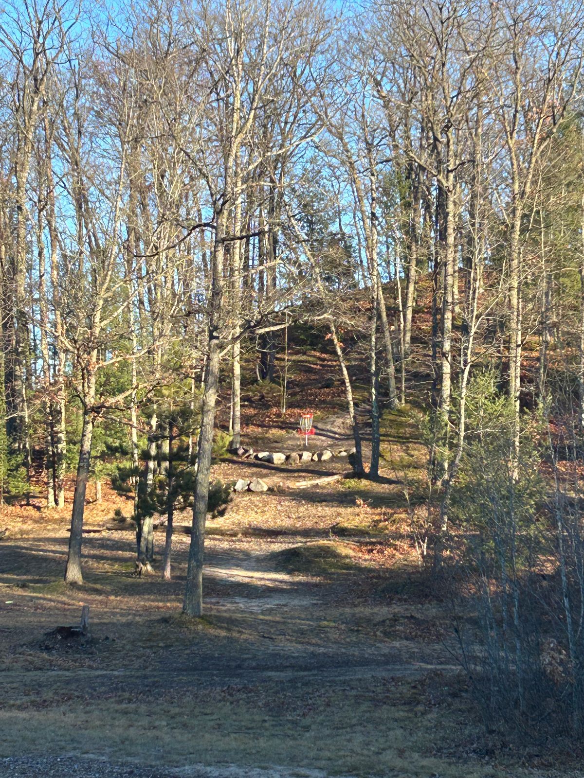 Hanson Hills - The Hill - Grayling, MI | UDisc Disc Golf Course Directory