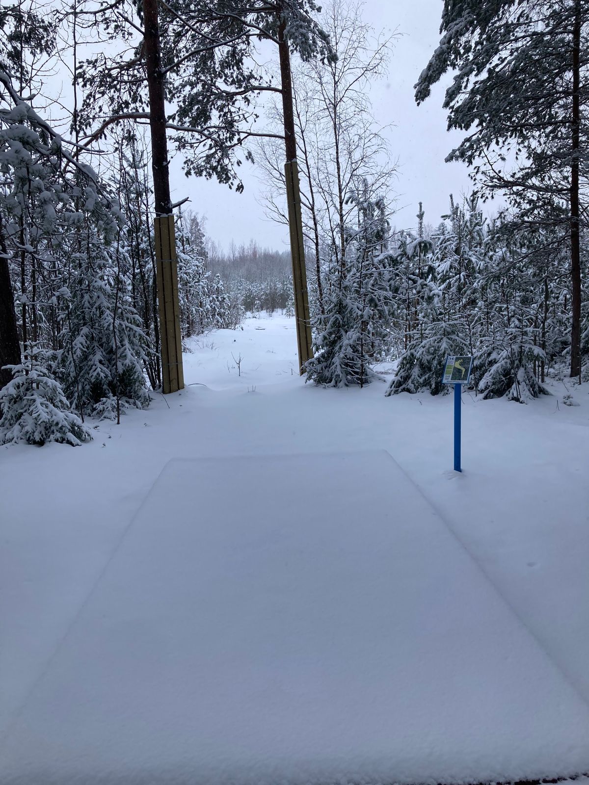 Talma DGP - Finland | UDisc Disc Golf Course Directory