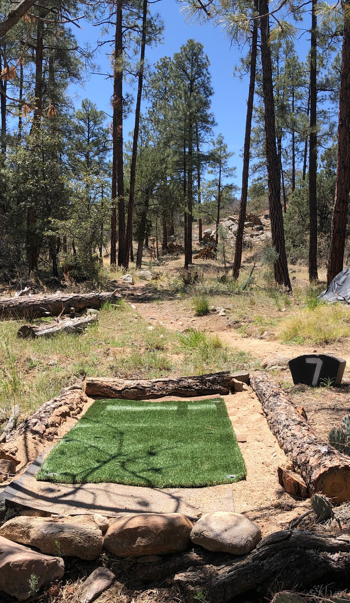 Camp Pinerock - Prescott, AZ | UDisc Disc Golf Course Directory | UDisc