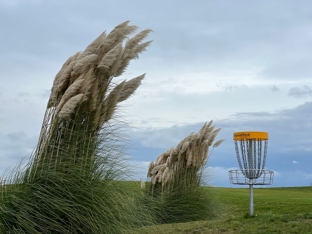 Šurany Disc Golf - Your Guide to Disc Golf in Šurany, Slovakia | UDisc