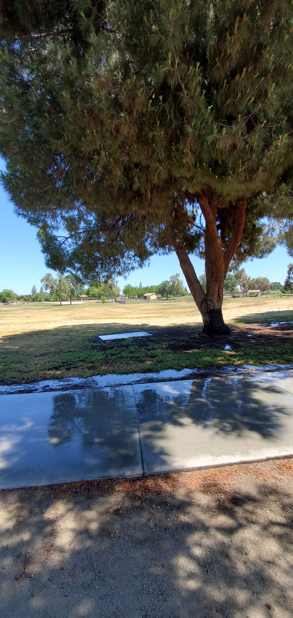 Centennial Park - Hanford, California | UDisc Disc Golf Course Directory
