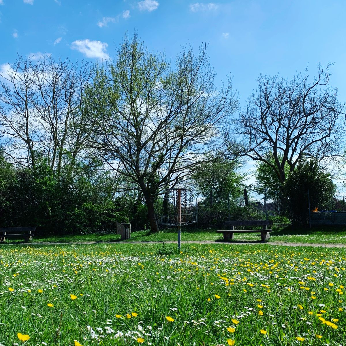 Parcours du Muhlbach, Albert Schweitzer - Strasbourg, France | UDisc ...