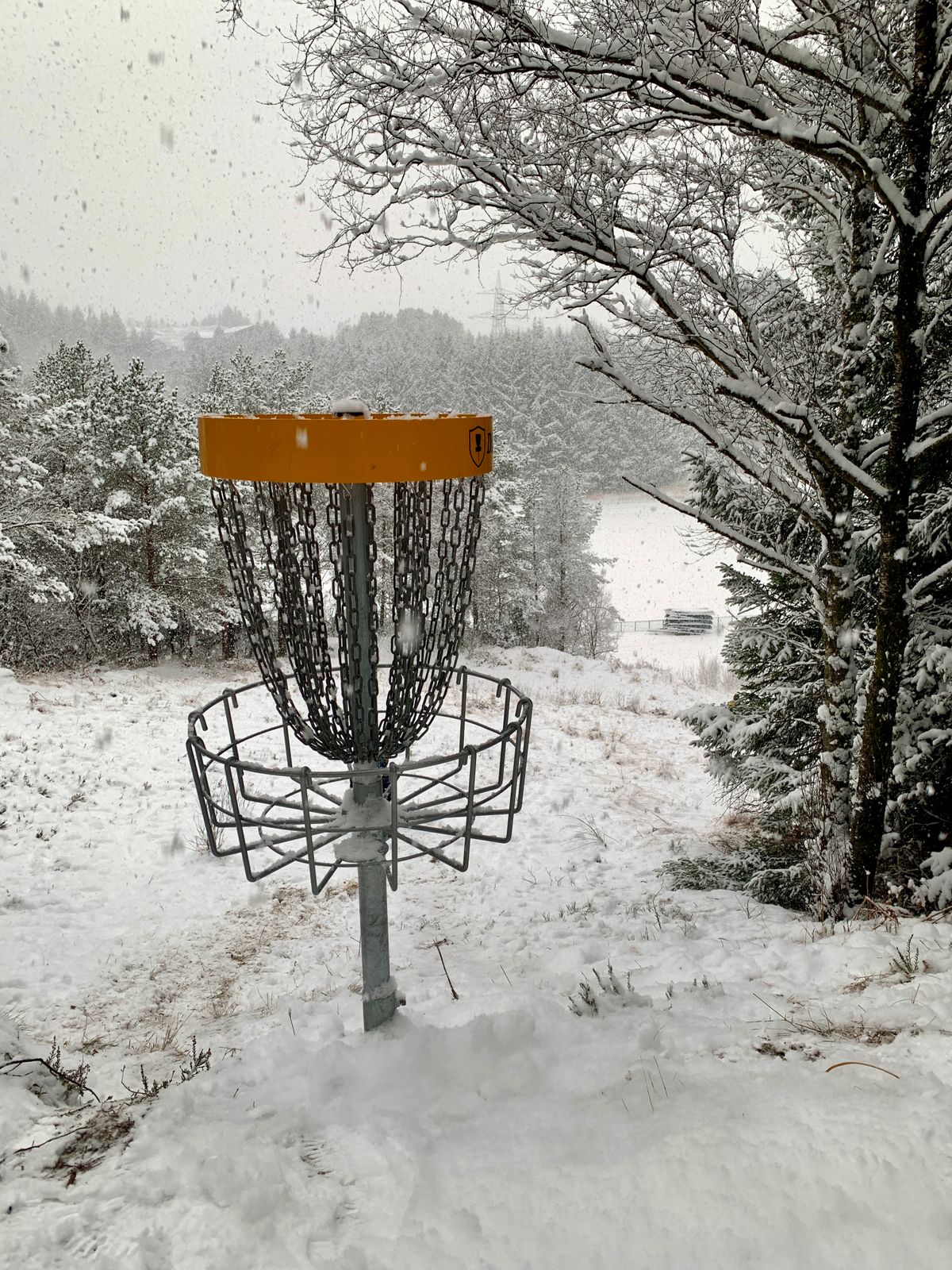 Bergen Disc Golf - Your Guide to Disc Golf in Bergen, Norway | UDisc