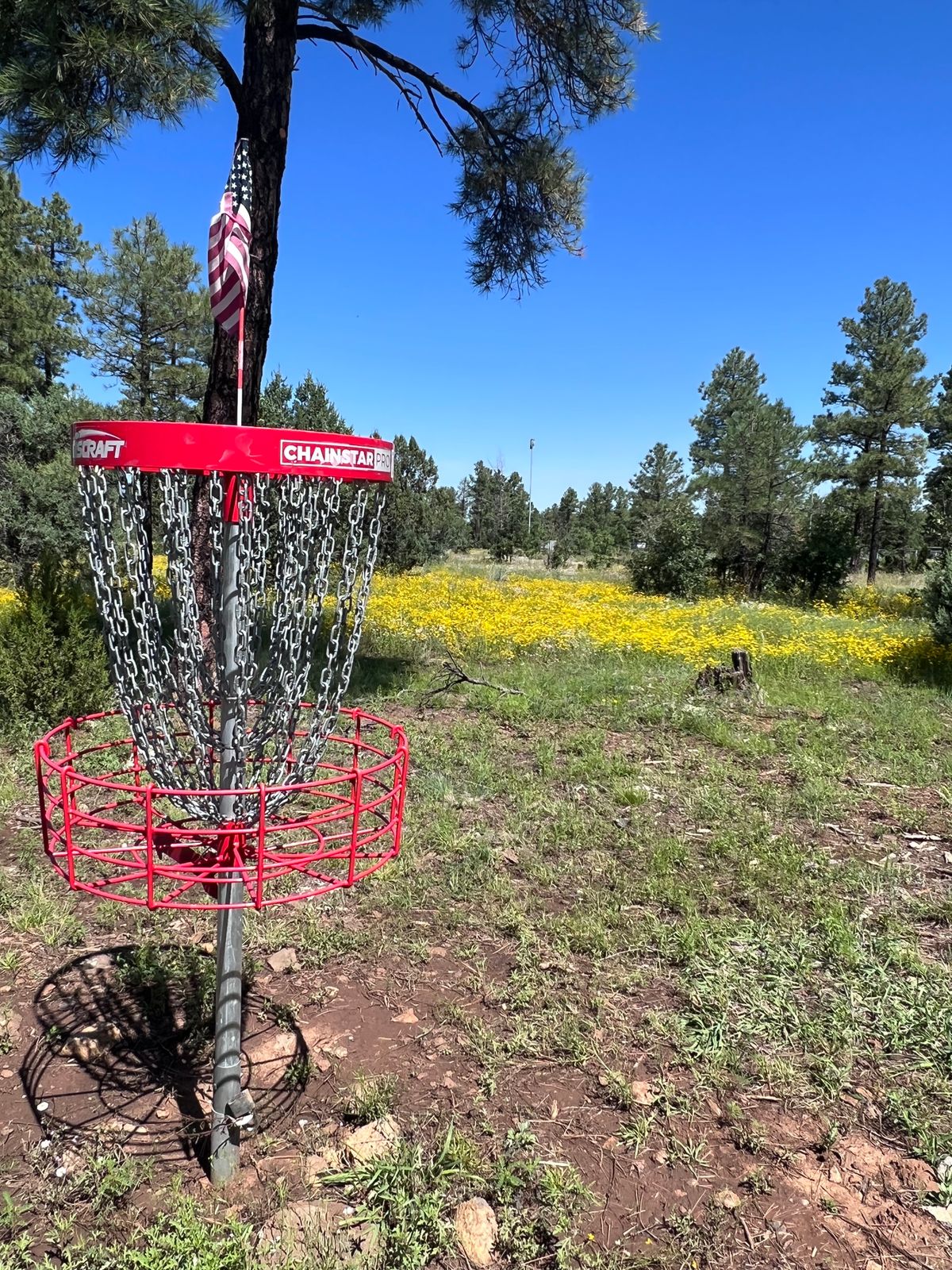 Pinetop-Lakeside Disc Golf - Your Guide to Disc Golf in Pinetop ...