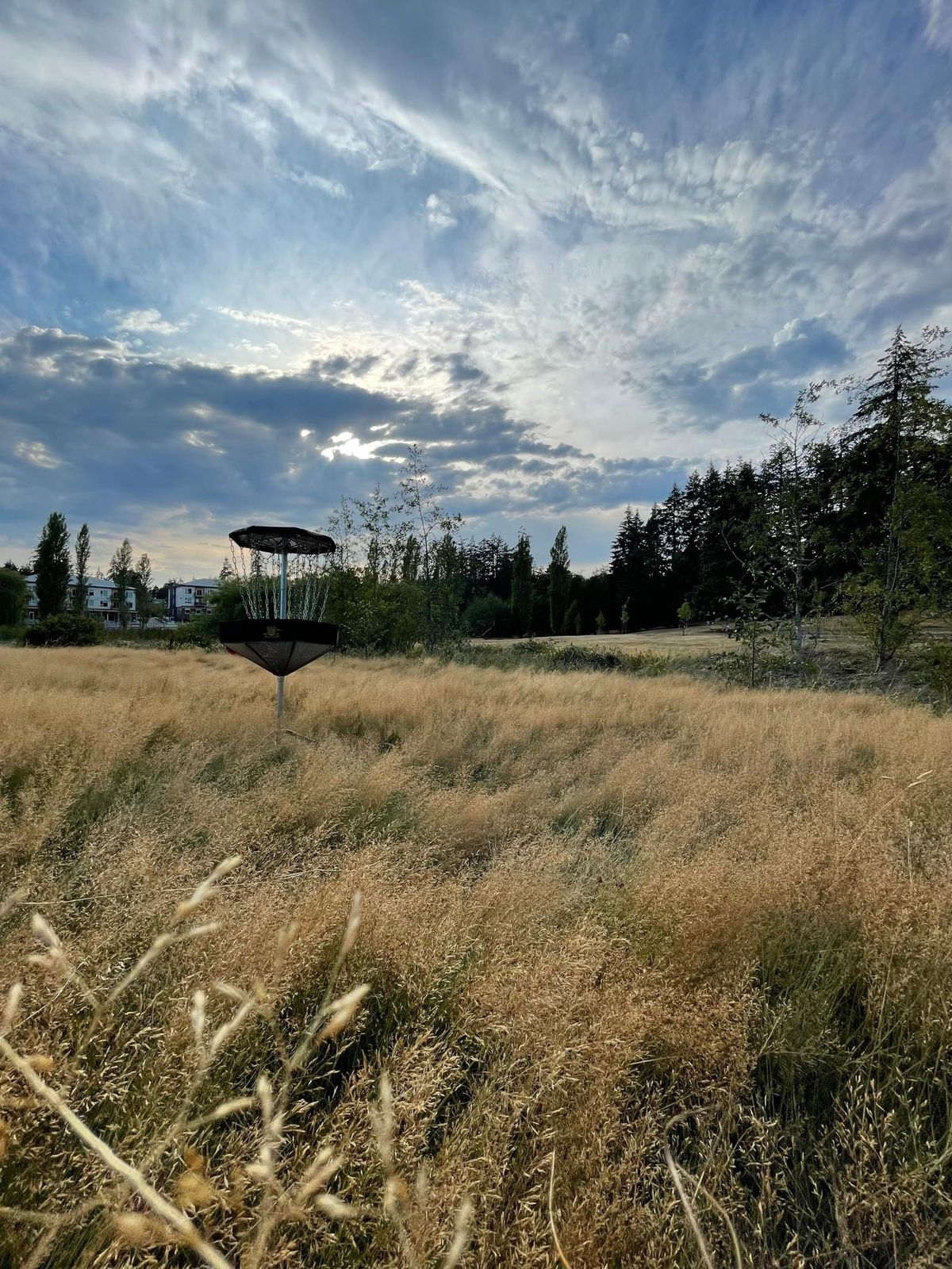 John Phillips Memorial Park - Sooke, BC, Canada | UDisc Disc Golf ...
