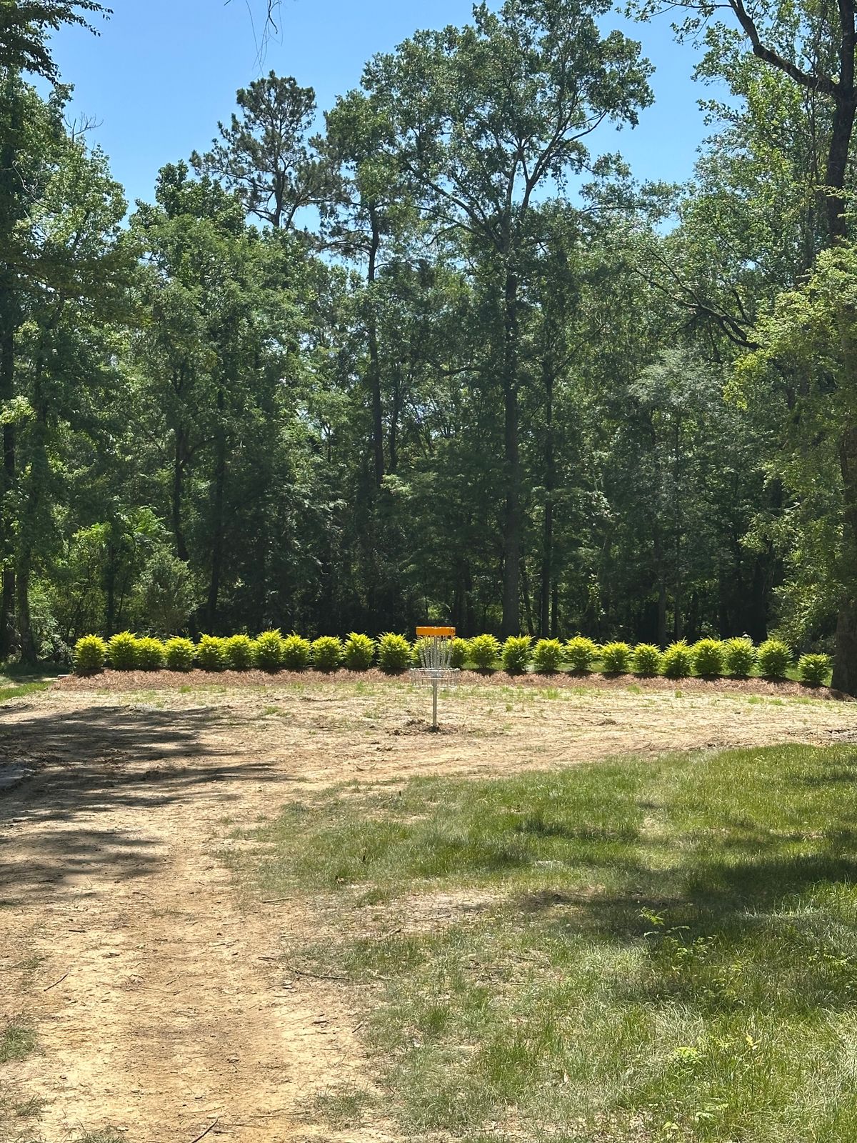 Walker DiscGolfPark - Walker, LA | UDisc Disc Golf Course Directory