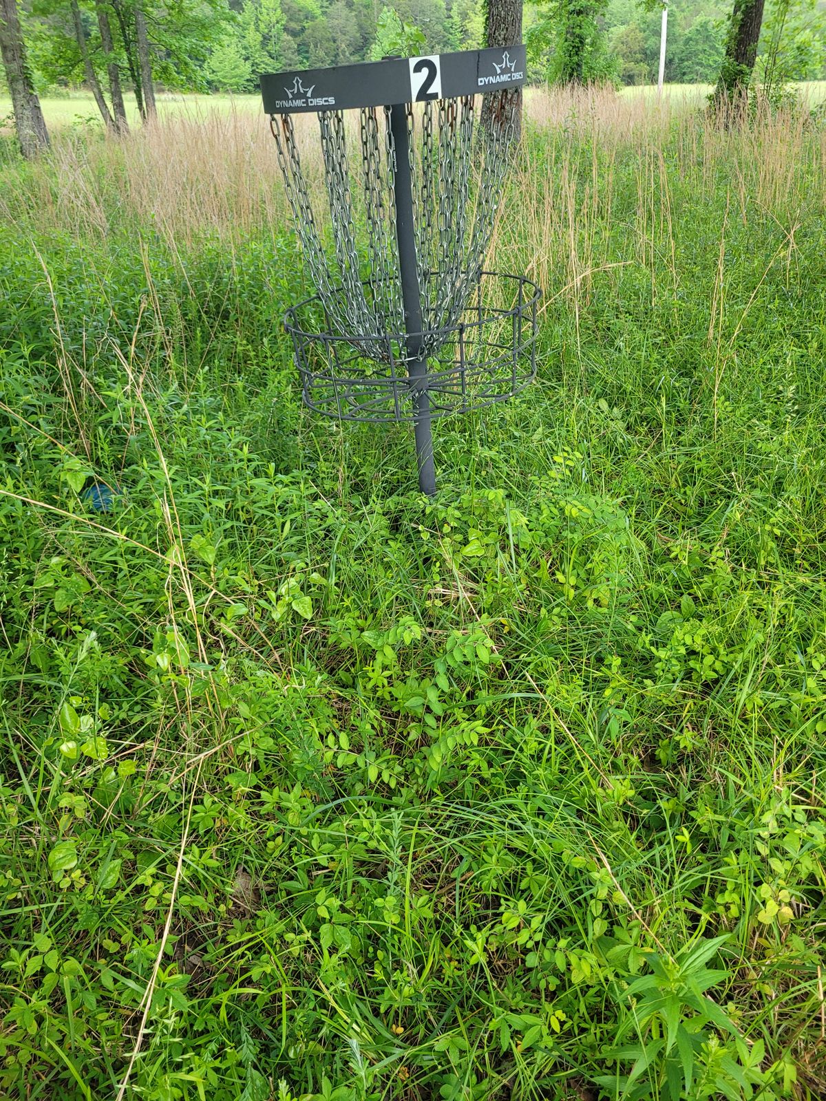Byrd’s Adventure Center Nine Hole - Ozark, AR | UDisc Disc Golf Course ...