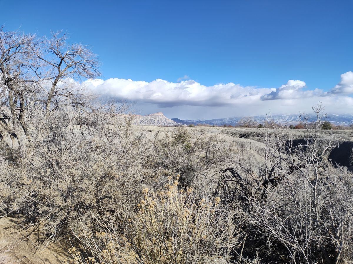 Matchett Park - Grand Junction, CO | UDisc Disc Golf Course Directory