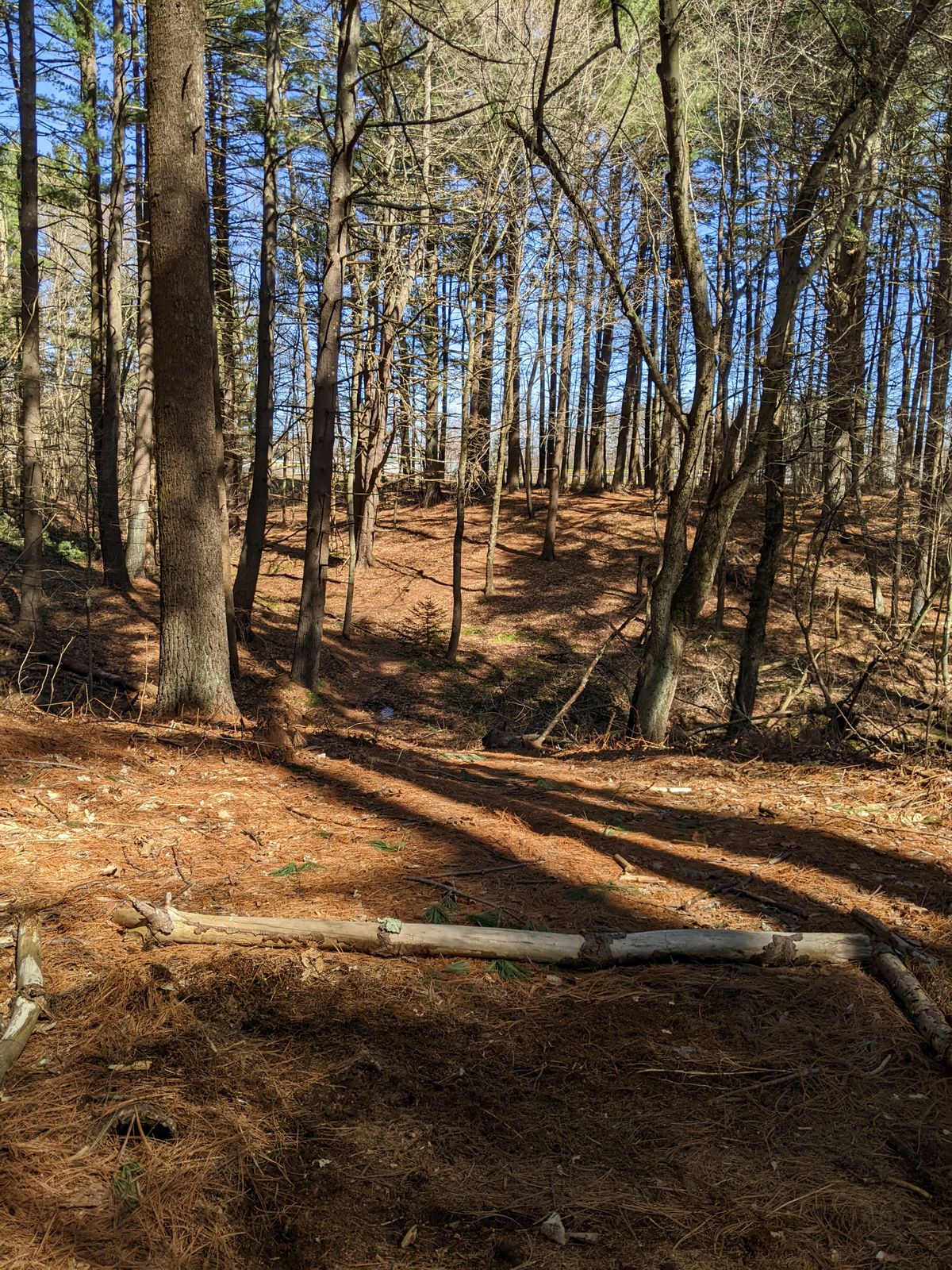 Ruel Field Disc Golf Course - Oxford, Massachusetts | UDisc Disc Golf ...