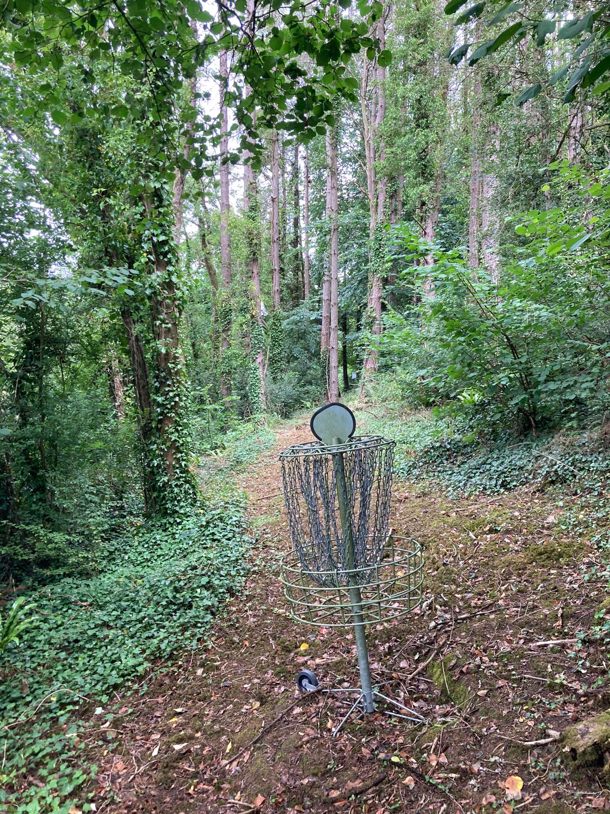 Treharris Disc Golf - Your Guide to Disc Golf in Treharris, United ...