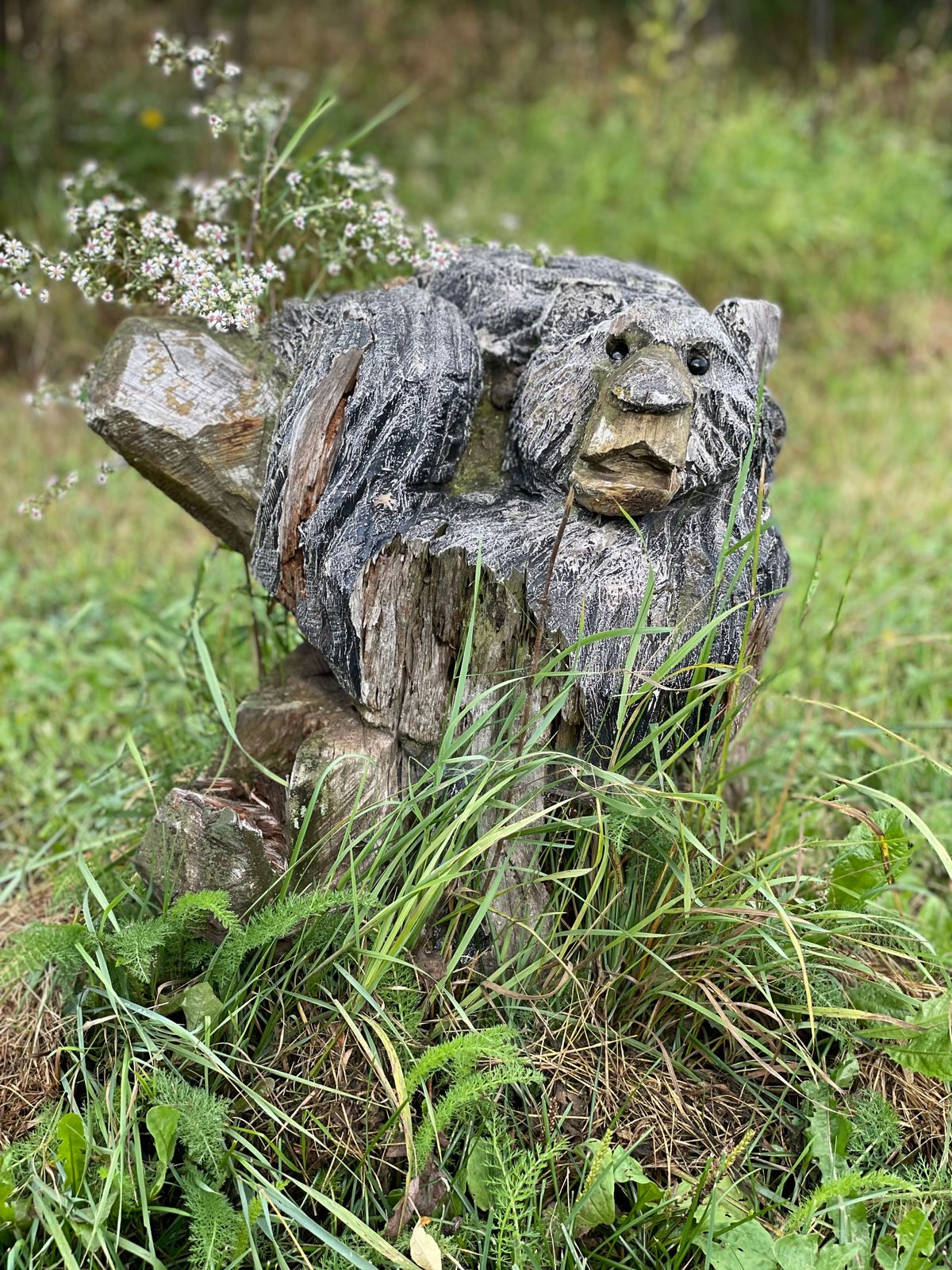 The Bear - Highbridge, Wisconsin | UDisc Disc Golf Course Directory