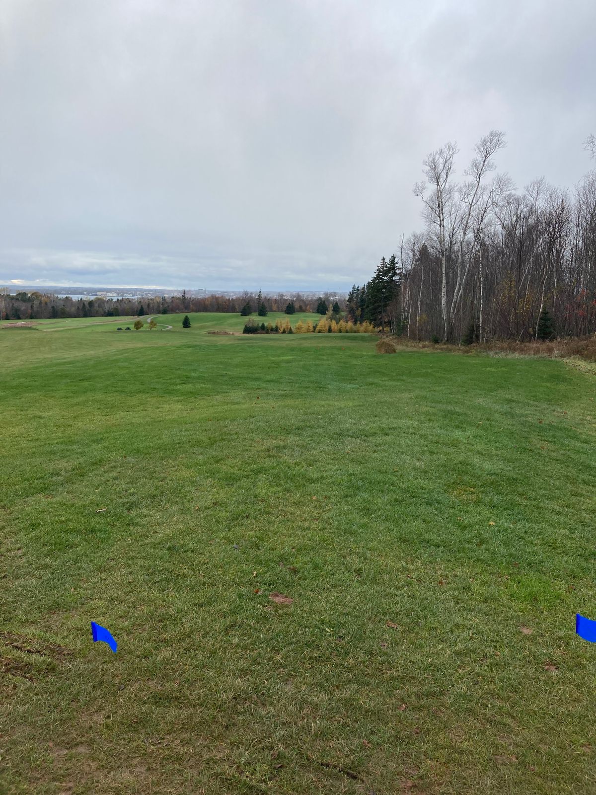 Fox Meadow Temp Course - CLOSED - Stratford, PE, Canada | UDisc Disc ...