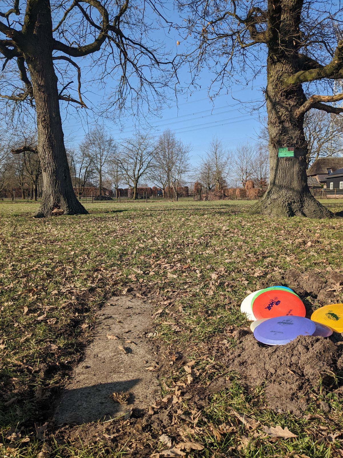 Heesch Disc Golf - Your Guide to Disc Golf in Heesch, Netherlands | UDisc