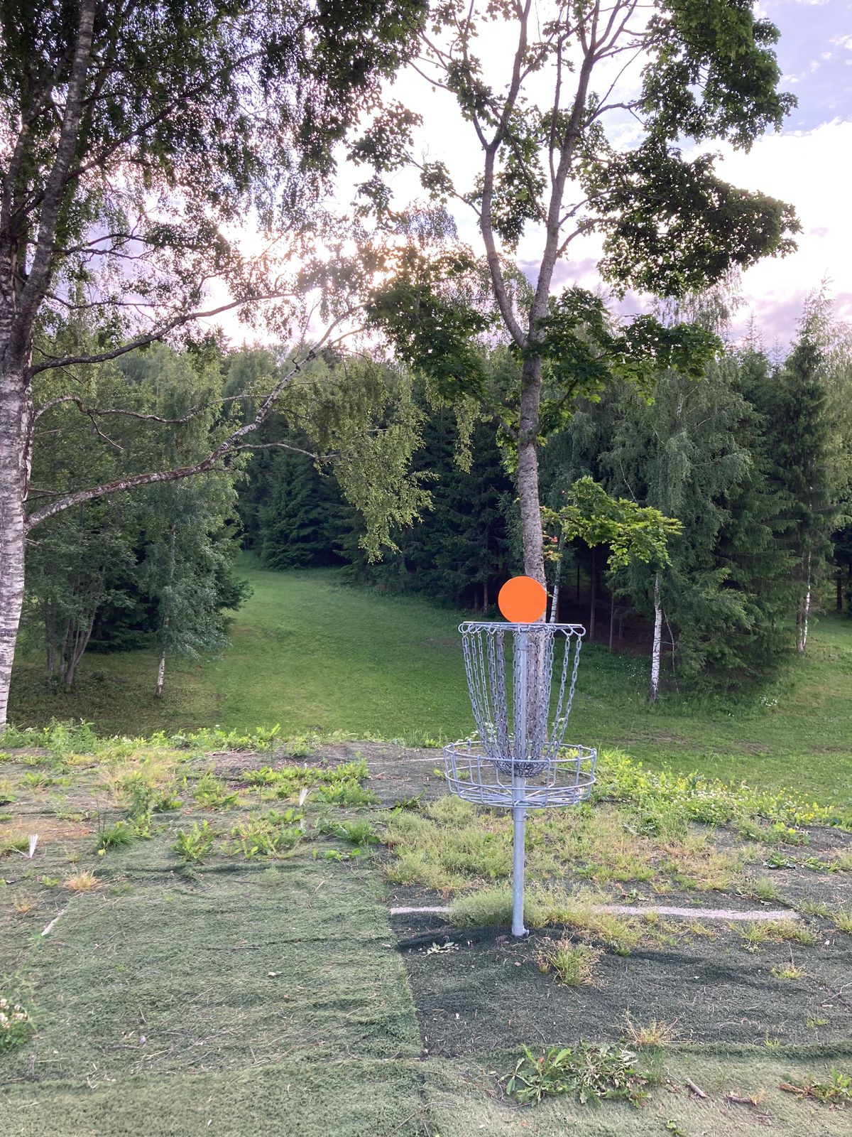 Iisaku Lendorav - Iisaku, Estonia | UDisc Disc Golf Course Directory