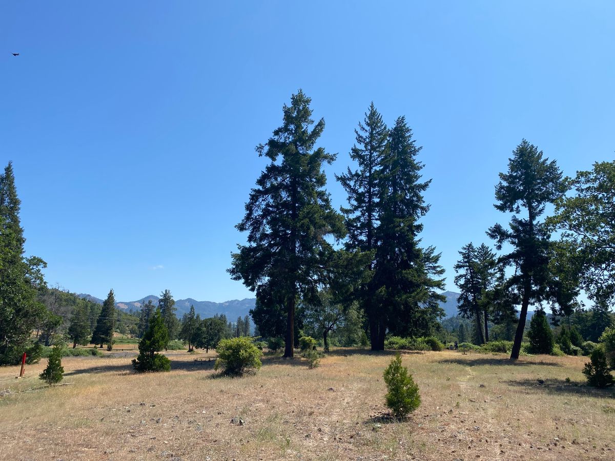 Pacifica - Williams, Oregon | UDisc Disc Golf Course Directory