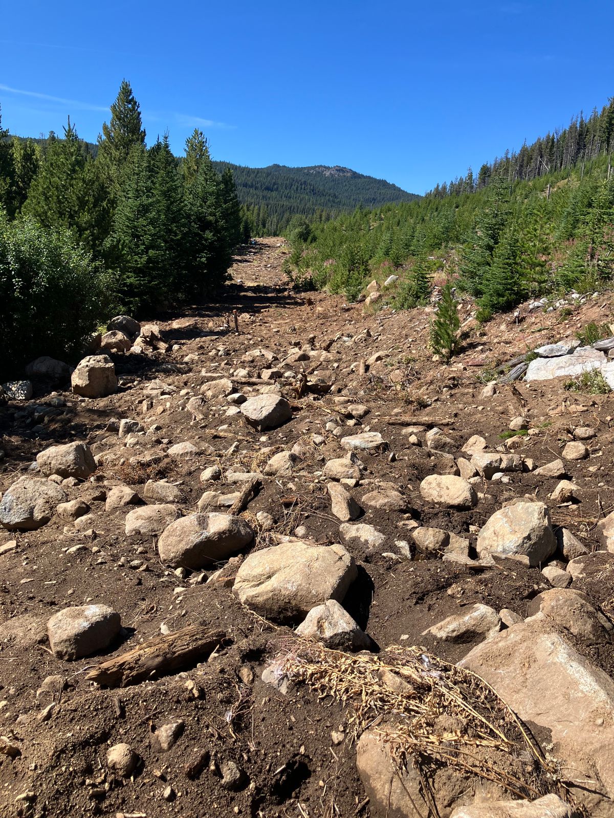 Apex Alpine Disc Golf Course - undefined | UDisc Disc Golf Course Directory