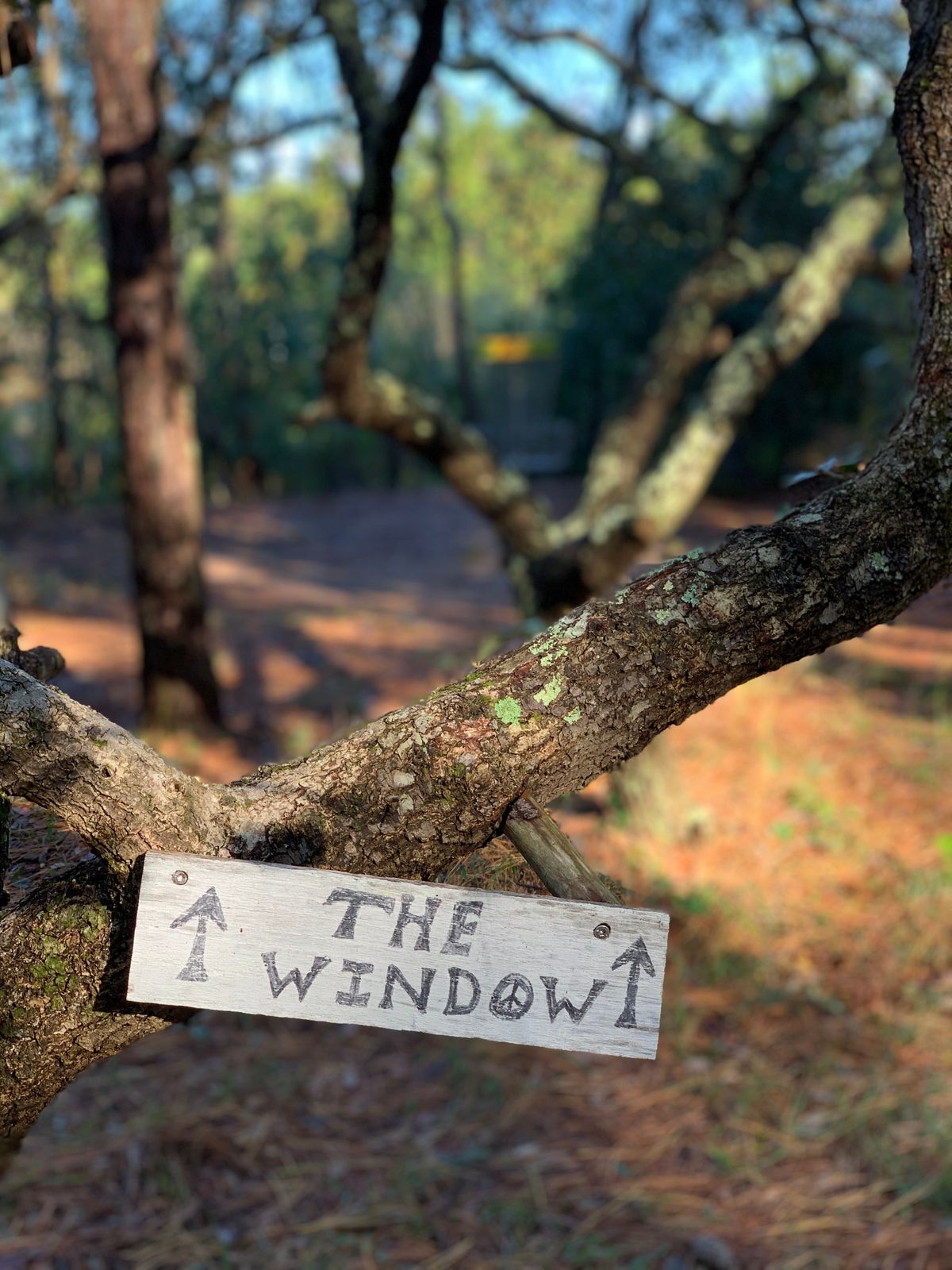 Casey R. Logan (OBX) DGC - Kill Devil Hills, North Carolina | UDisc ...