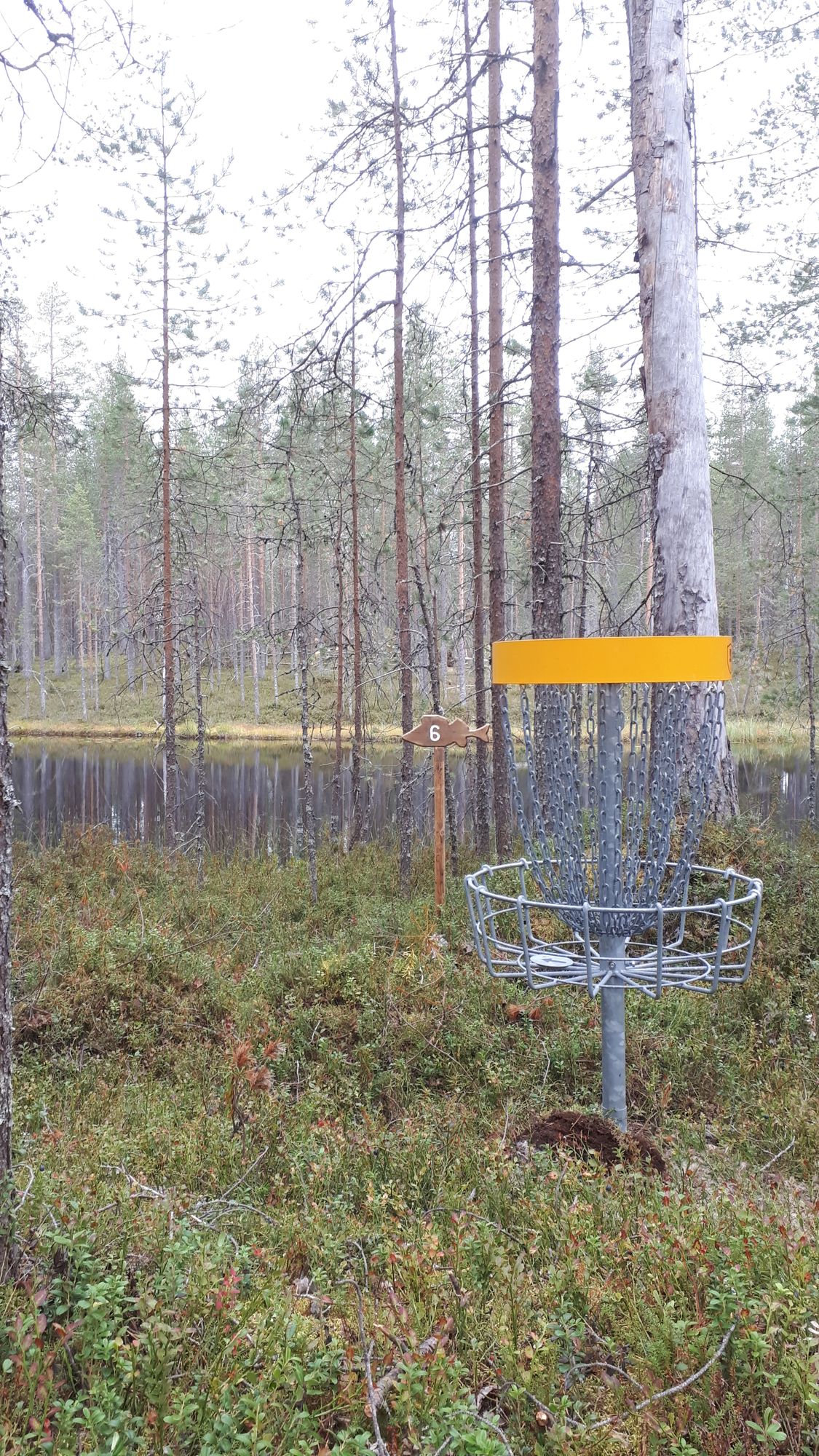 Kylmäluoma Frisbeegolf - Finland | UDisc Disc Golf Course Directory