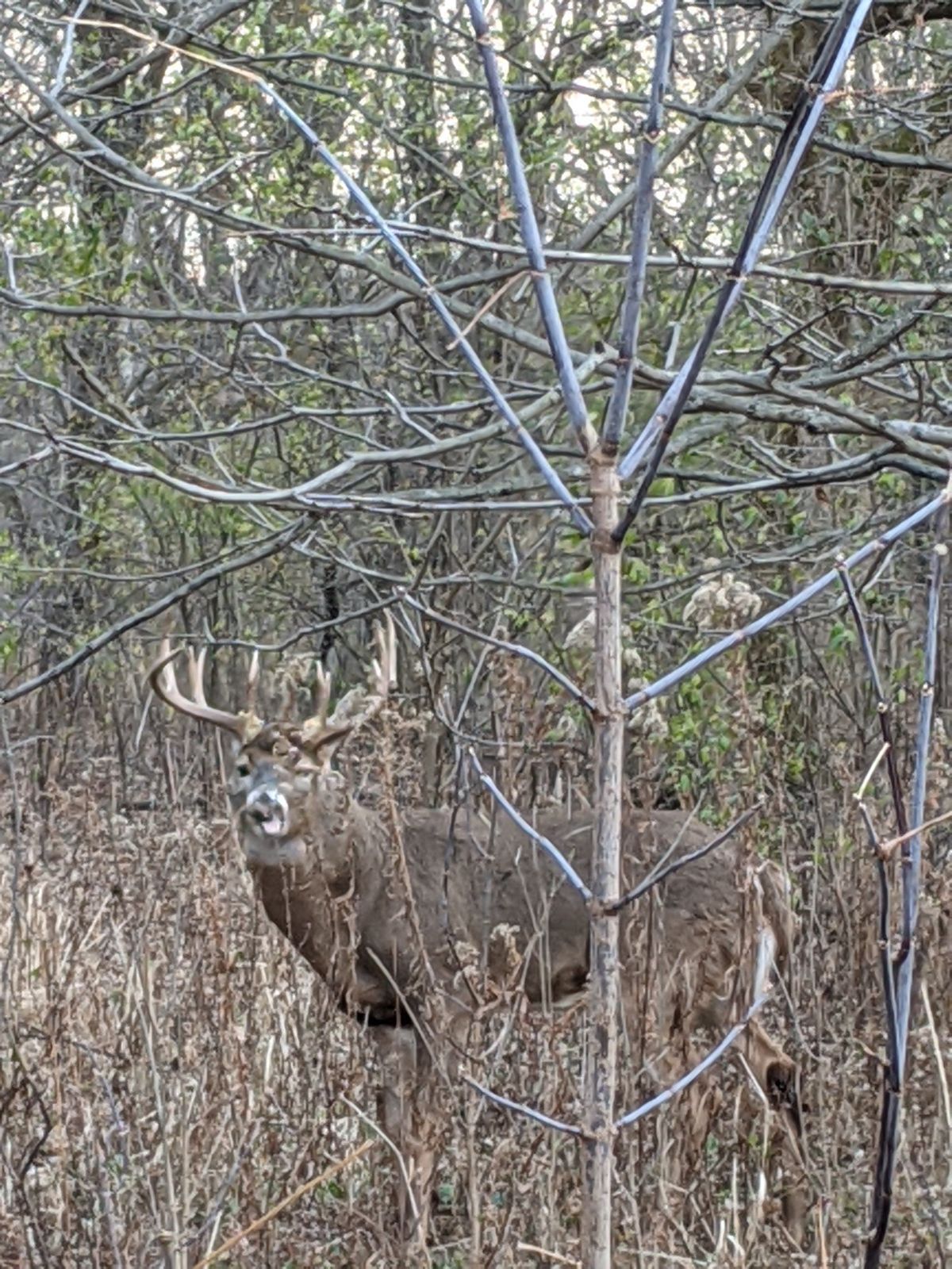 Root River - Greendale, WI | UDisc Disc Golf Course Directory