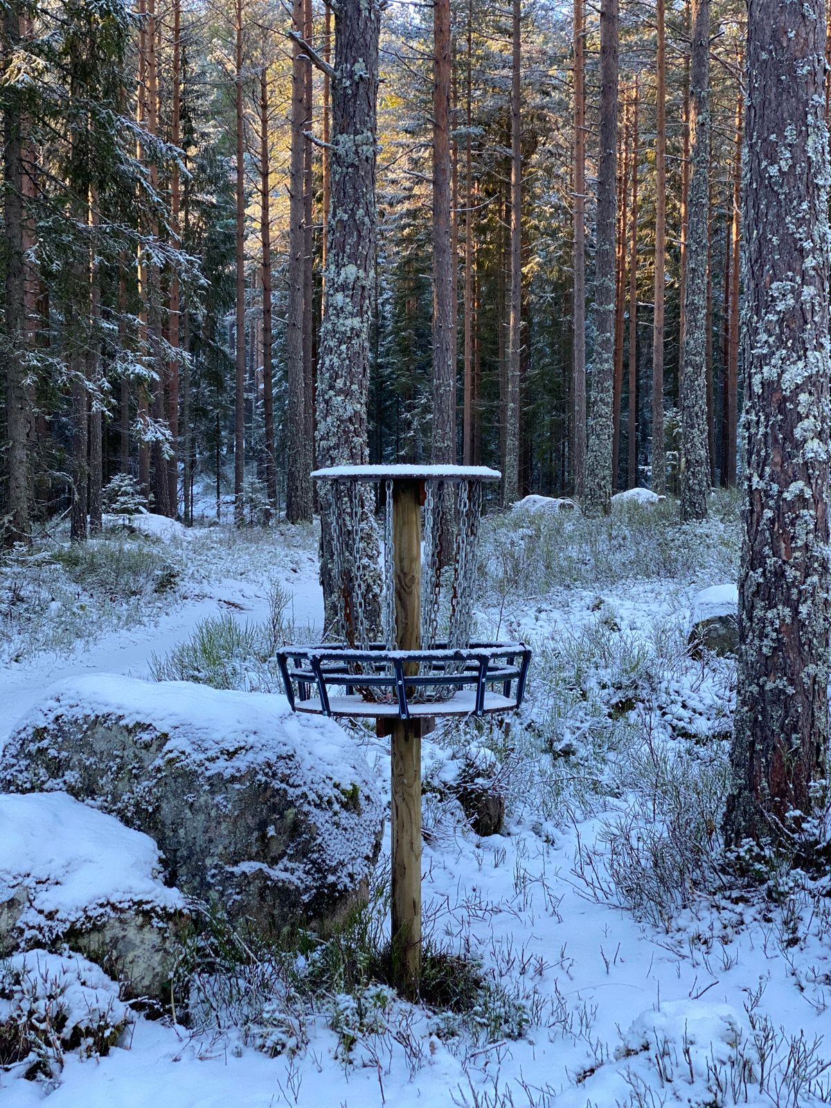 Haugsjåsund Frisbeegolfclub - Treungen, Telemark | UDisc Disc Golf ...